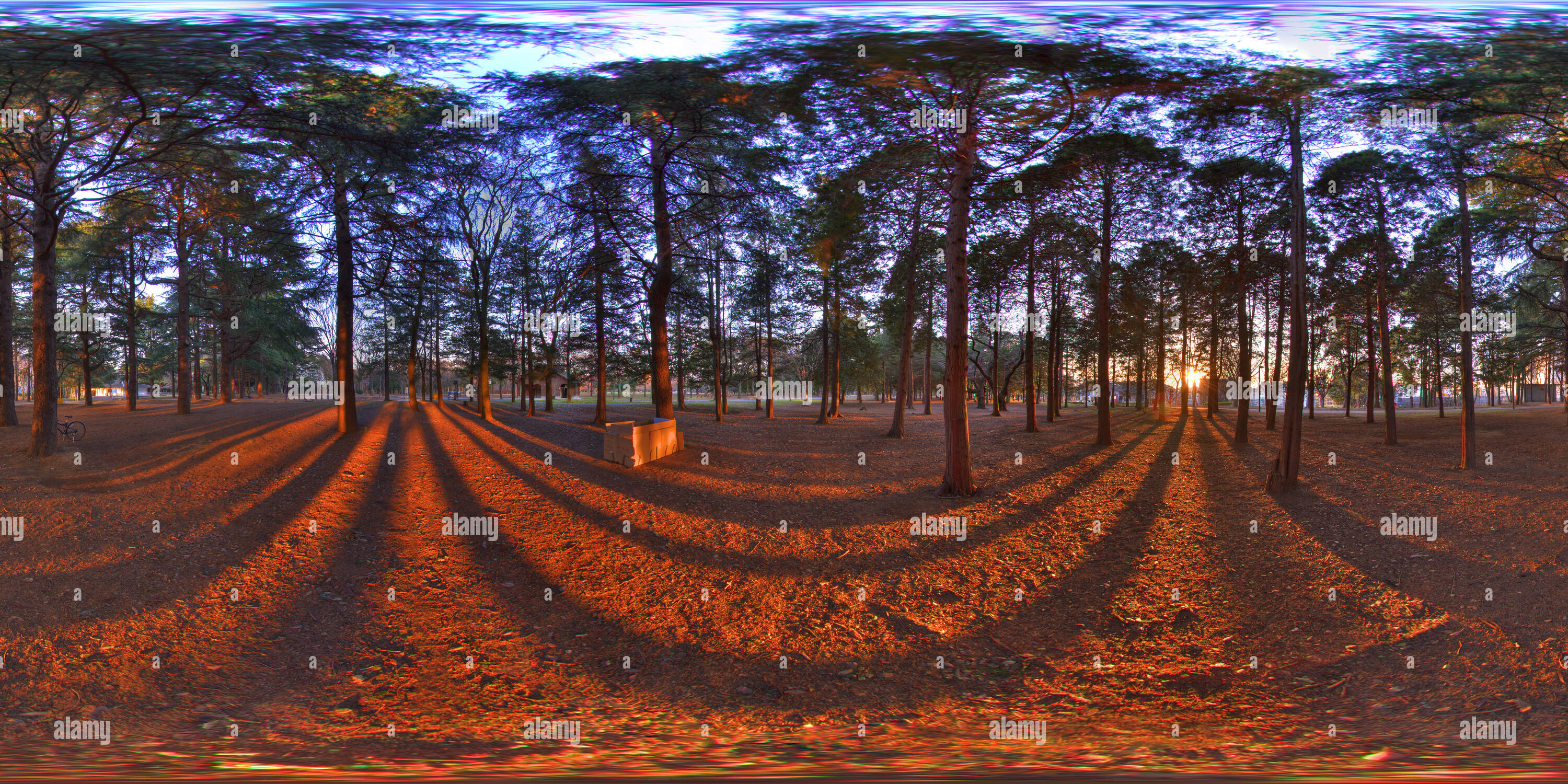 360° view of Evening sun and cardboard - Alamy