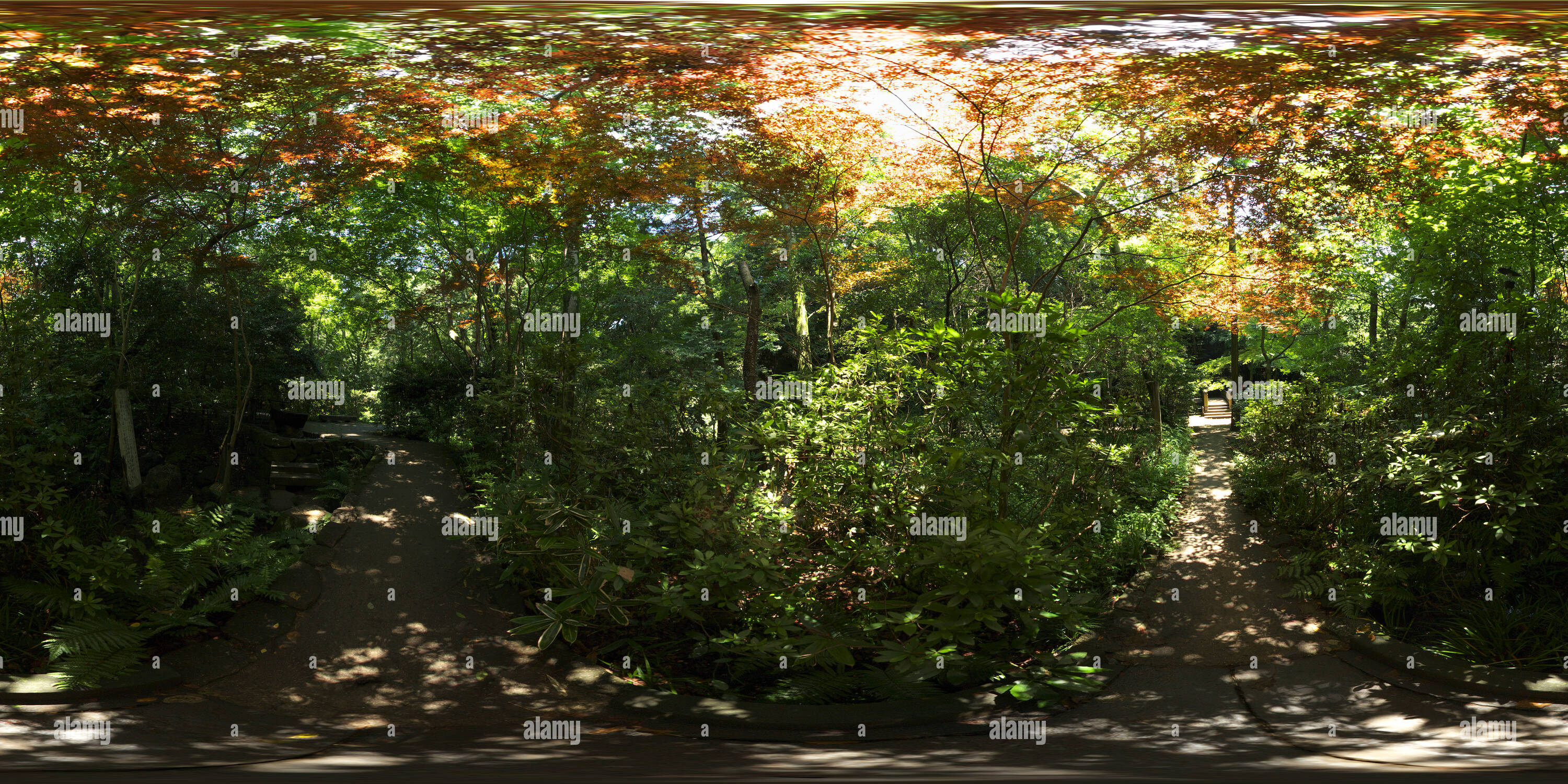 Todoroki valley hi-res stock photography and images - Alamy