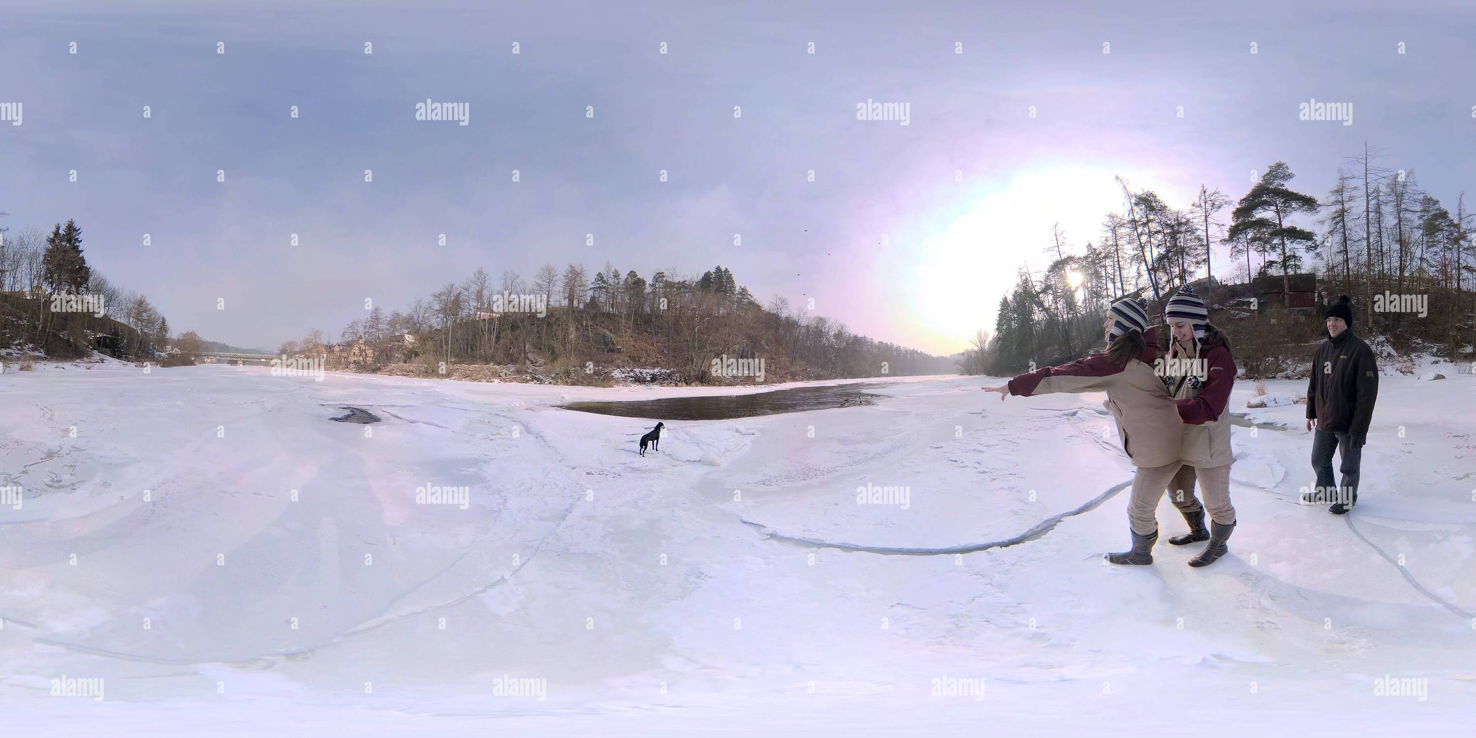 360° view of Ducks on Ice - Alamy