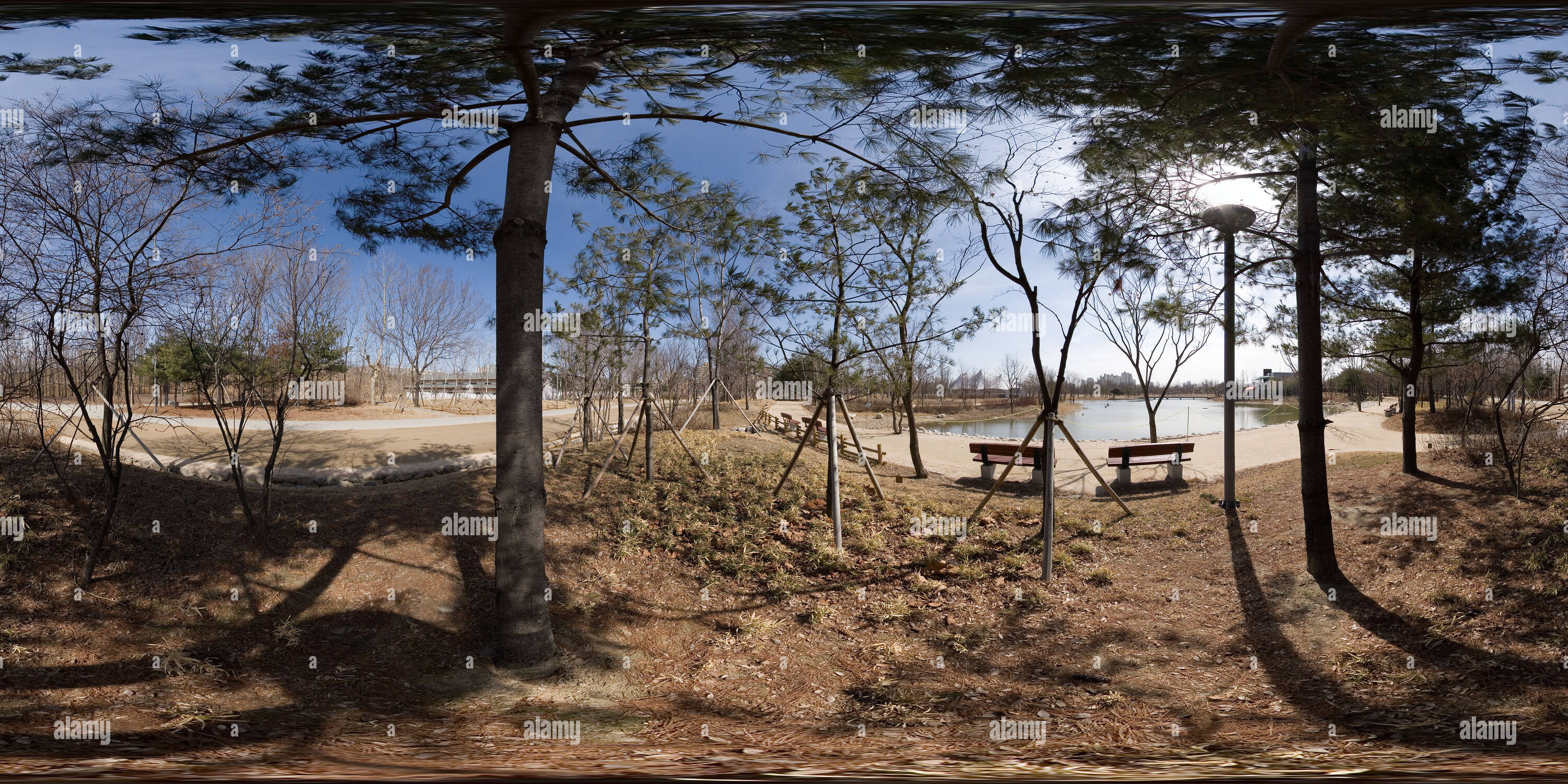 360° view of In the woods - Alamy