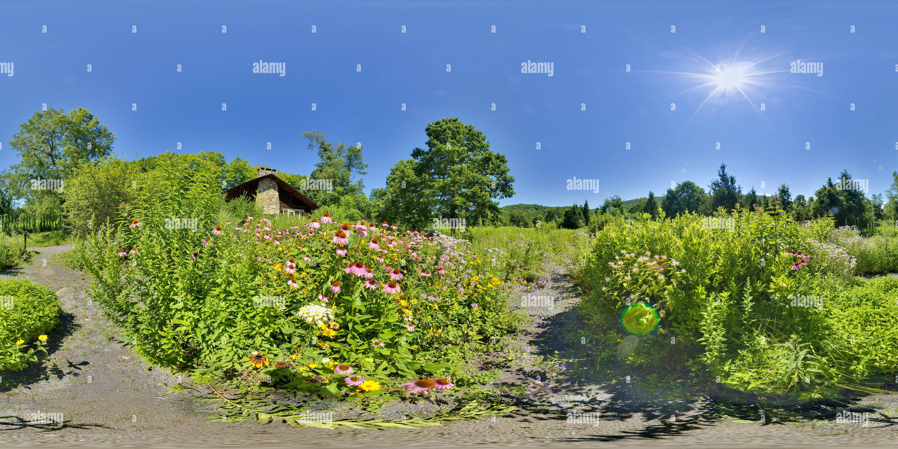 360° view of Ann Odell Butterfly Garden - Alamy