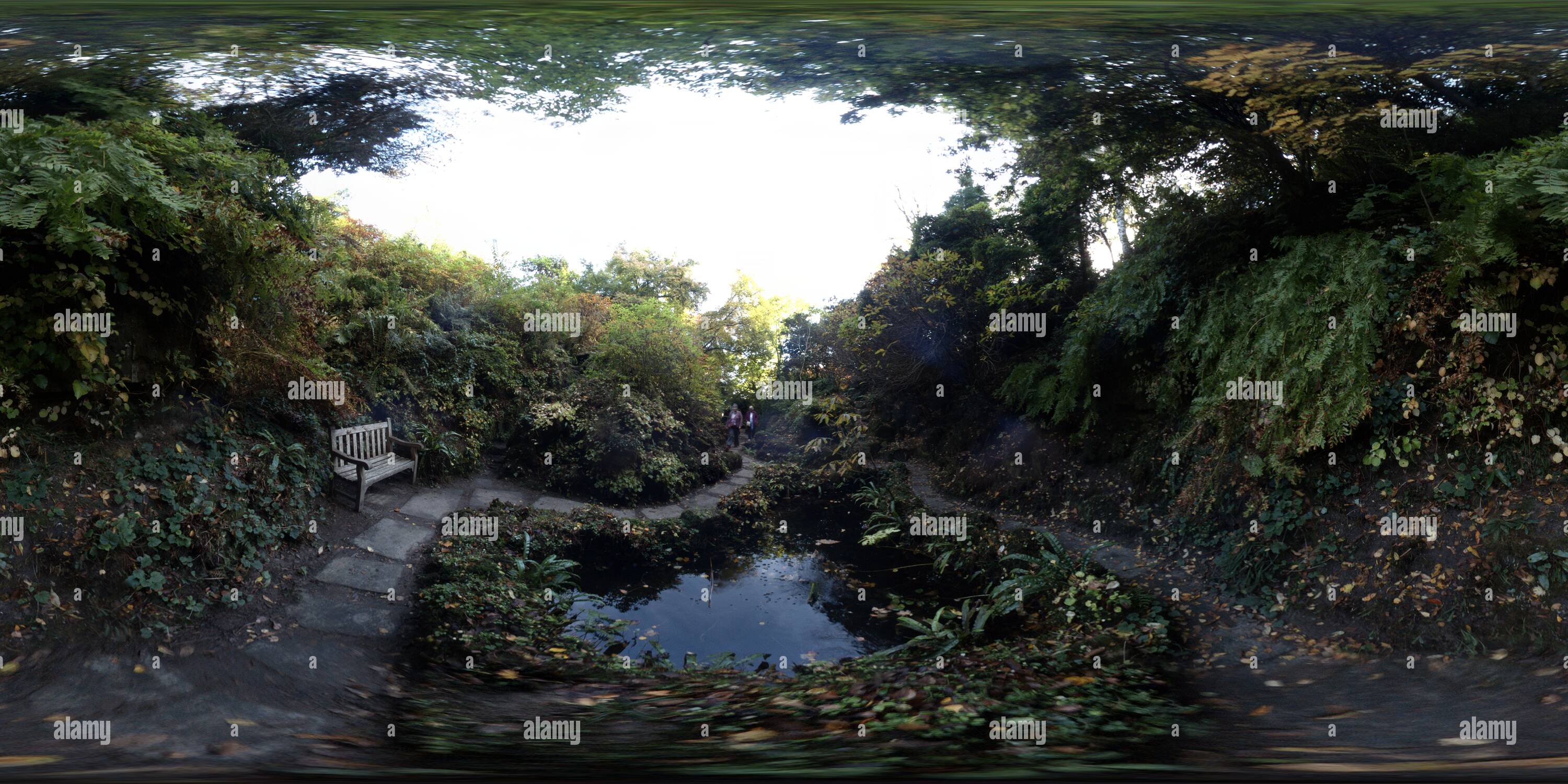 360° view of Standen Quarry Pond - Alamy