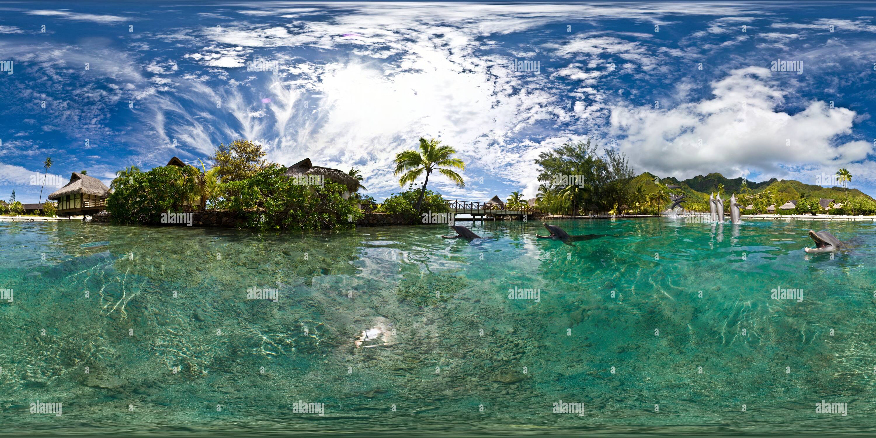 Moorea dolphin center hi-res stock photography and images - Alamy