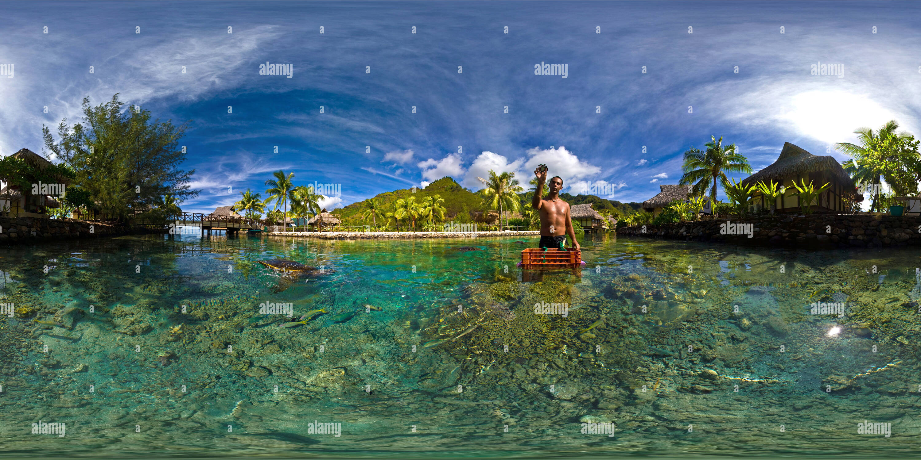360° view of Te Mana O Te Moana : The Turtle Nursery - Alamy