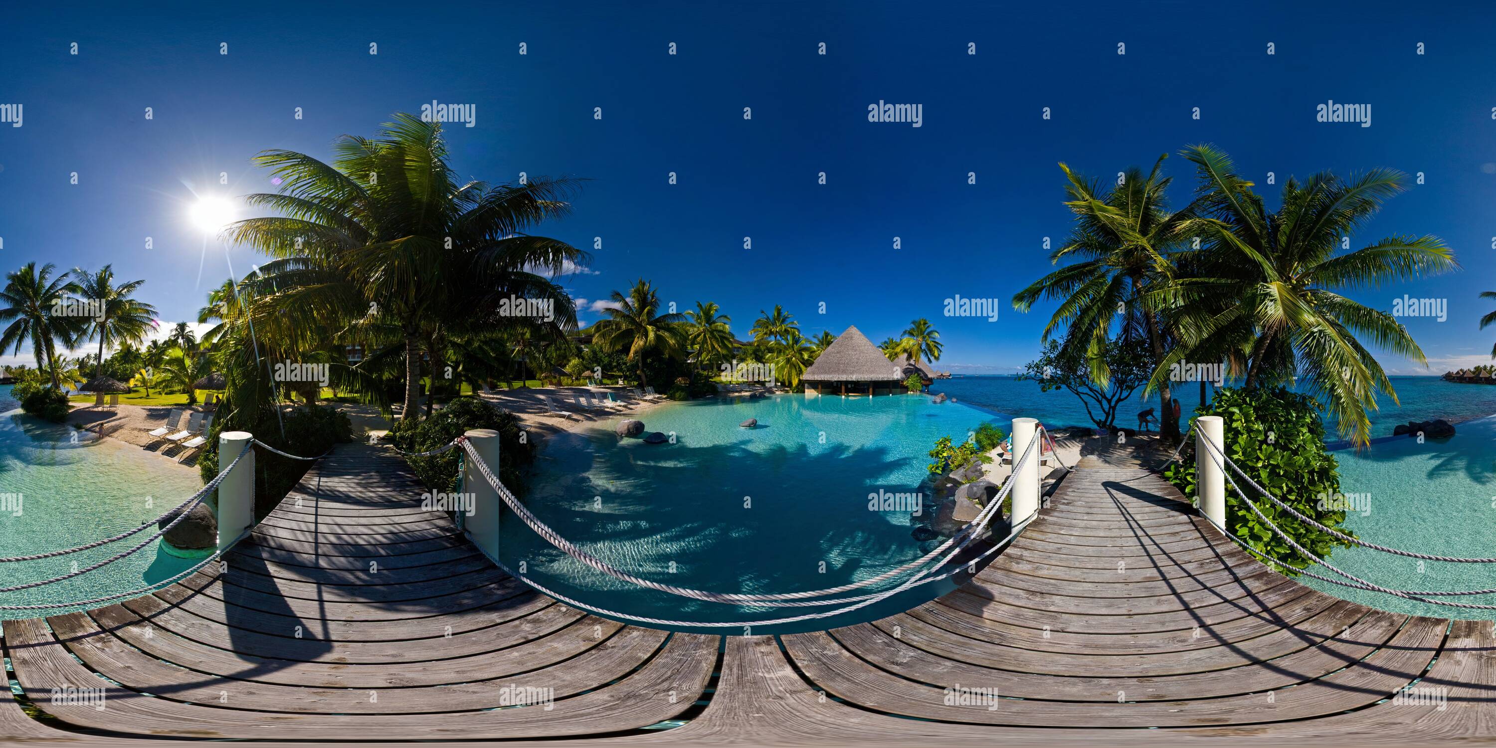 Pool 360 Sign In at Frank Thill blog