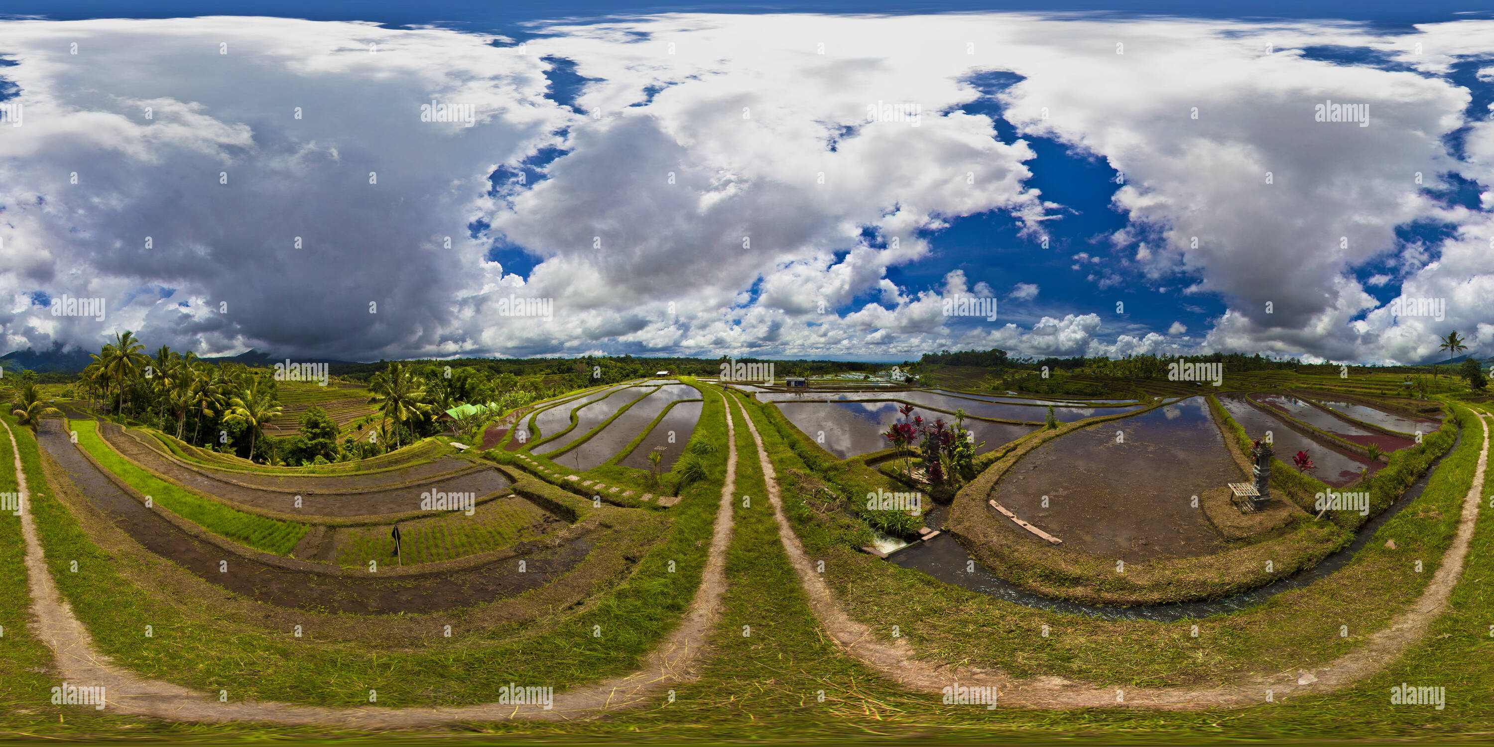 360° view of Bali Jatiluwih Rice Terrace Fields - Alamy