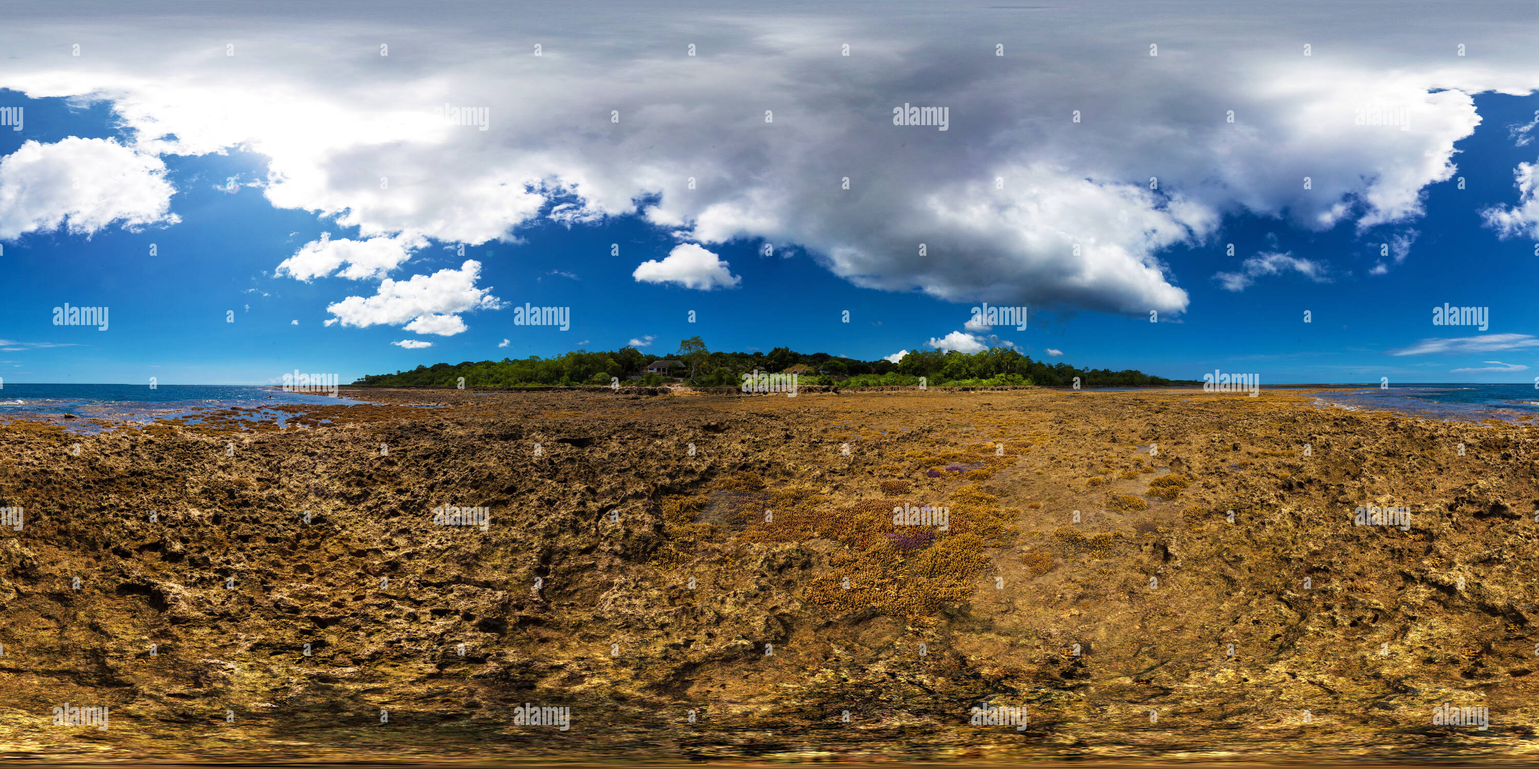 360° view of Tanna, Vanuatu : Evergreen Resort Reef at Low Tide - Alamy