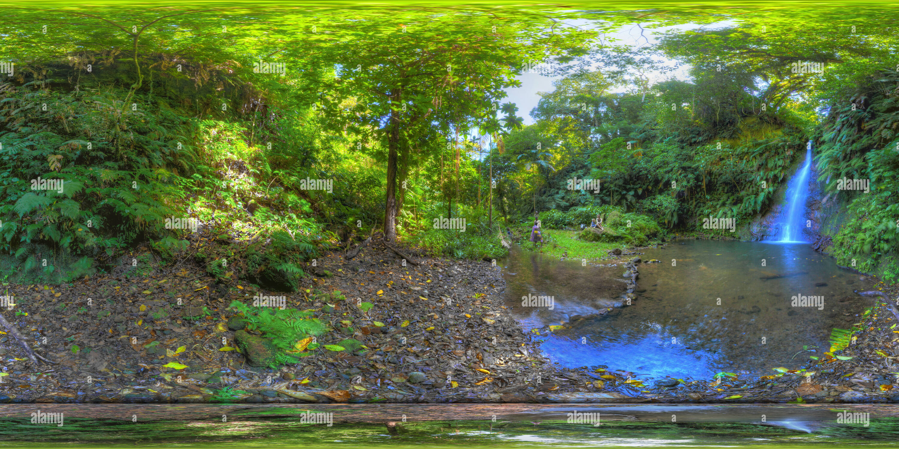 360° view of Tanna, Vanuatu : Tiny Cascade in the Jungle - Alamy