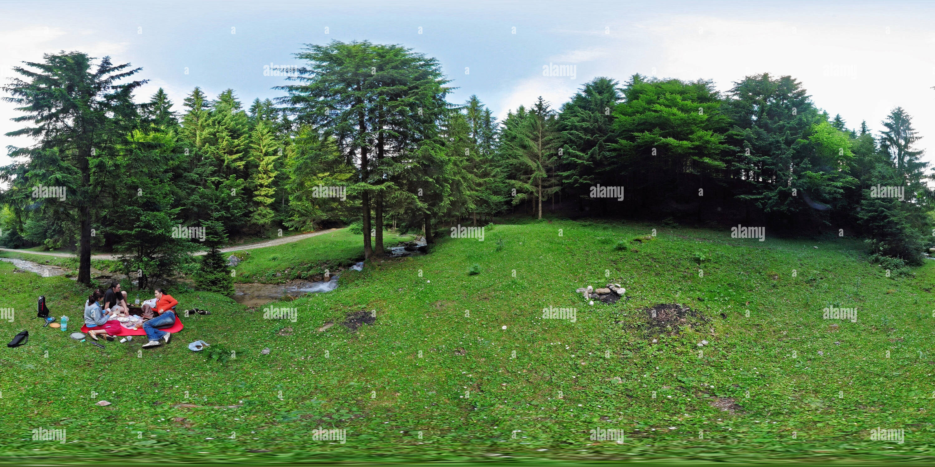 Morii hi-res stock photography and images - Alamy