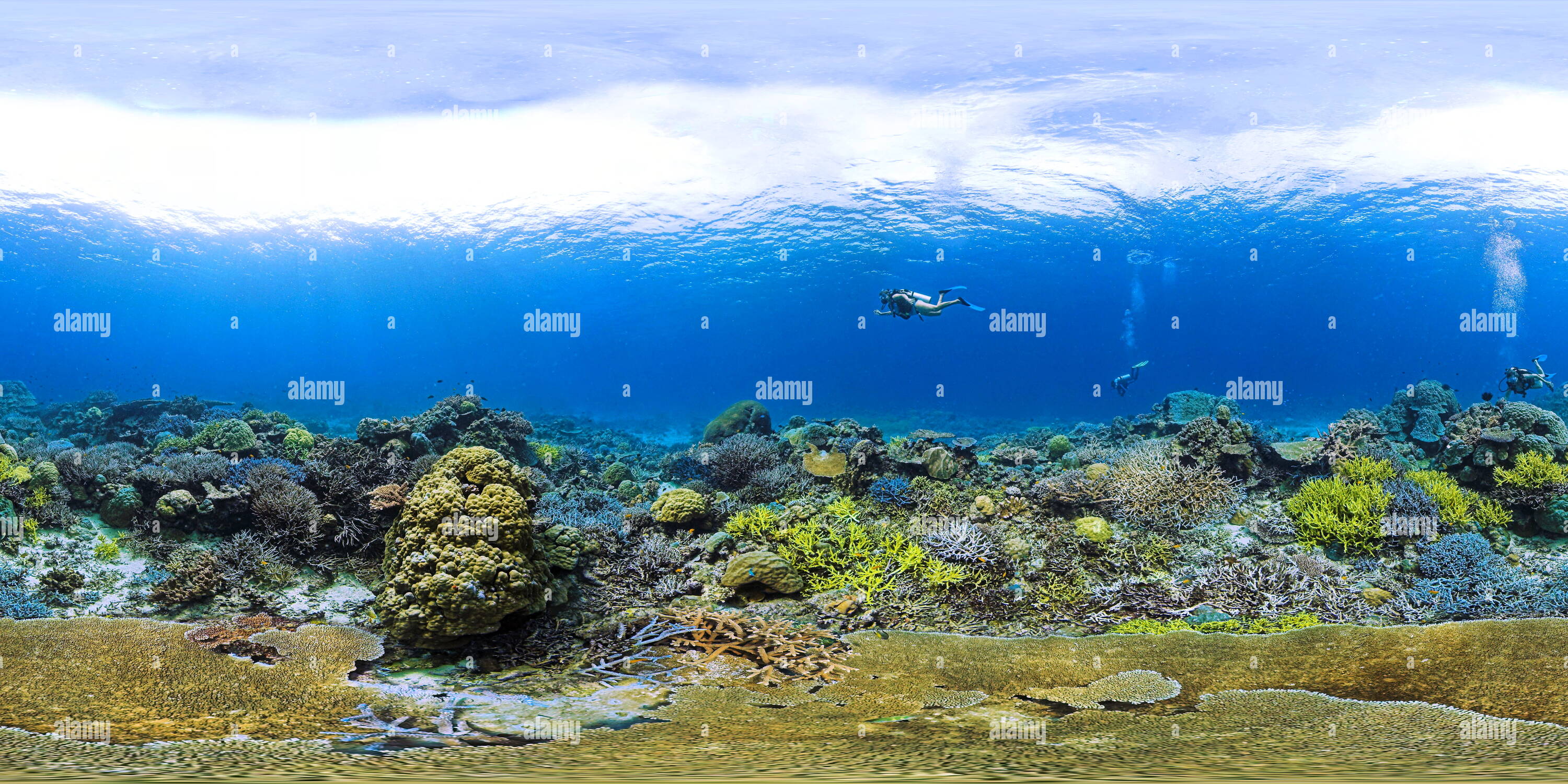 Protected vanuatu coral reef hi-res stock photography and images - Alamy