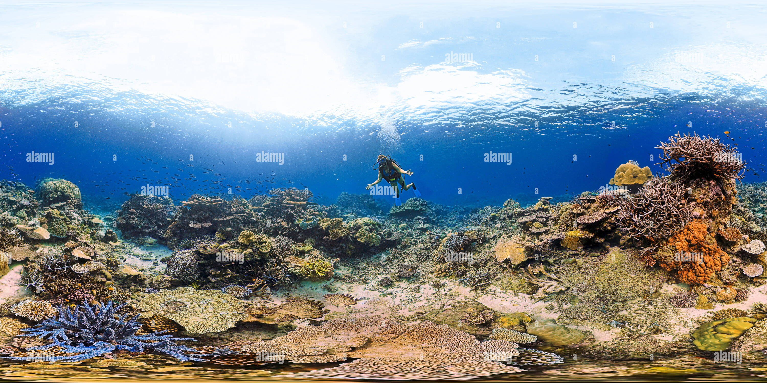 Protected vanuatu coral reef hi-res stock photography and images - Alamy