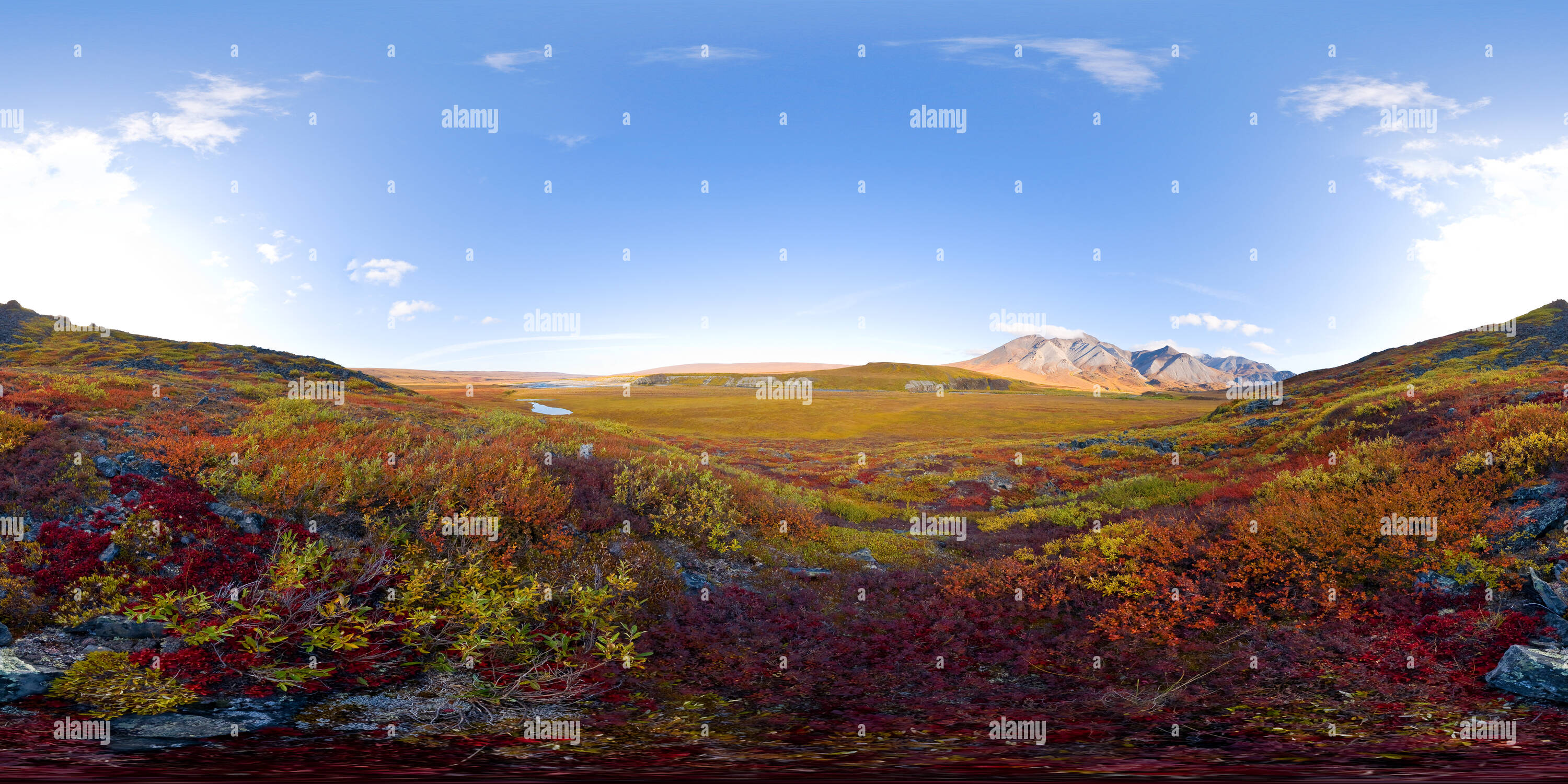 360° view of Tundra colors in fall on the Hula Hula River (080823 1724 ...