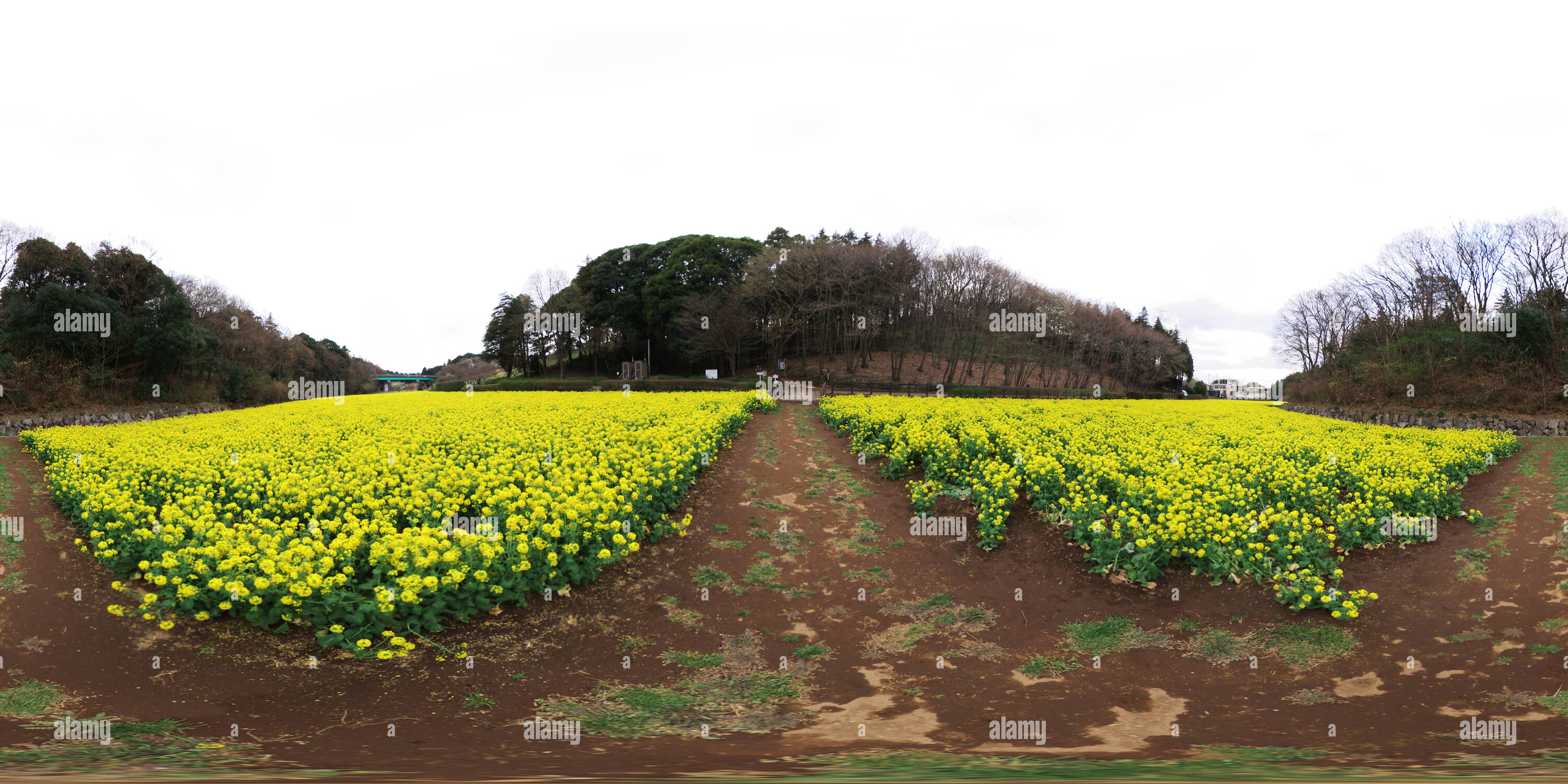 360° view of Yasashi park Yokohama - Alamy