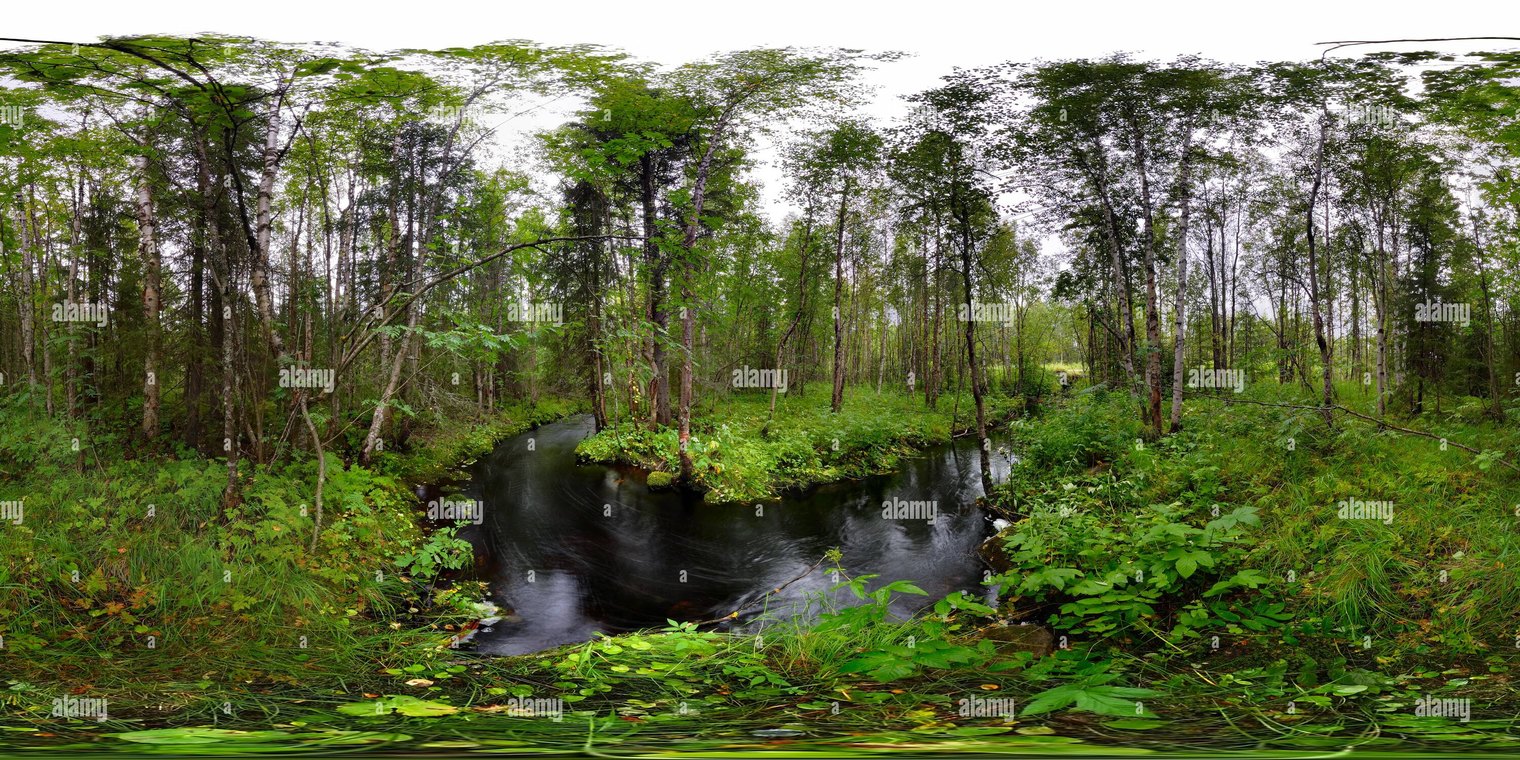 360° view of Black Stream near Kuzema - Alamy