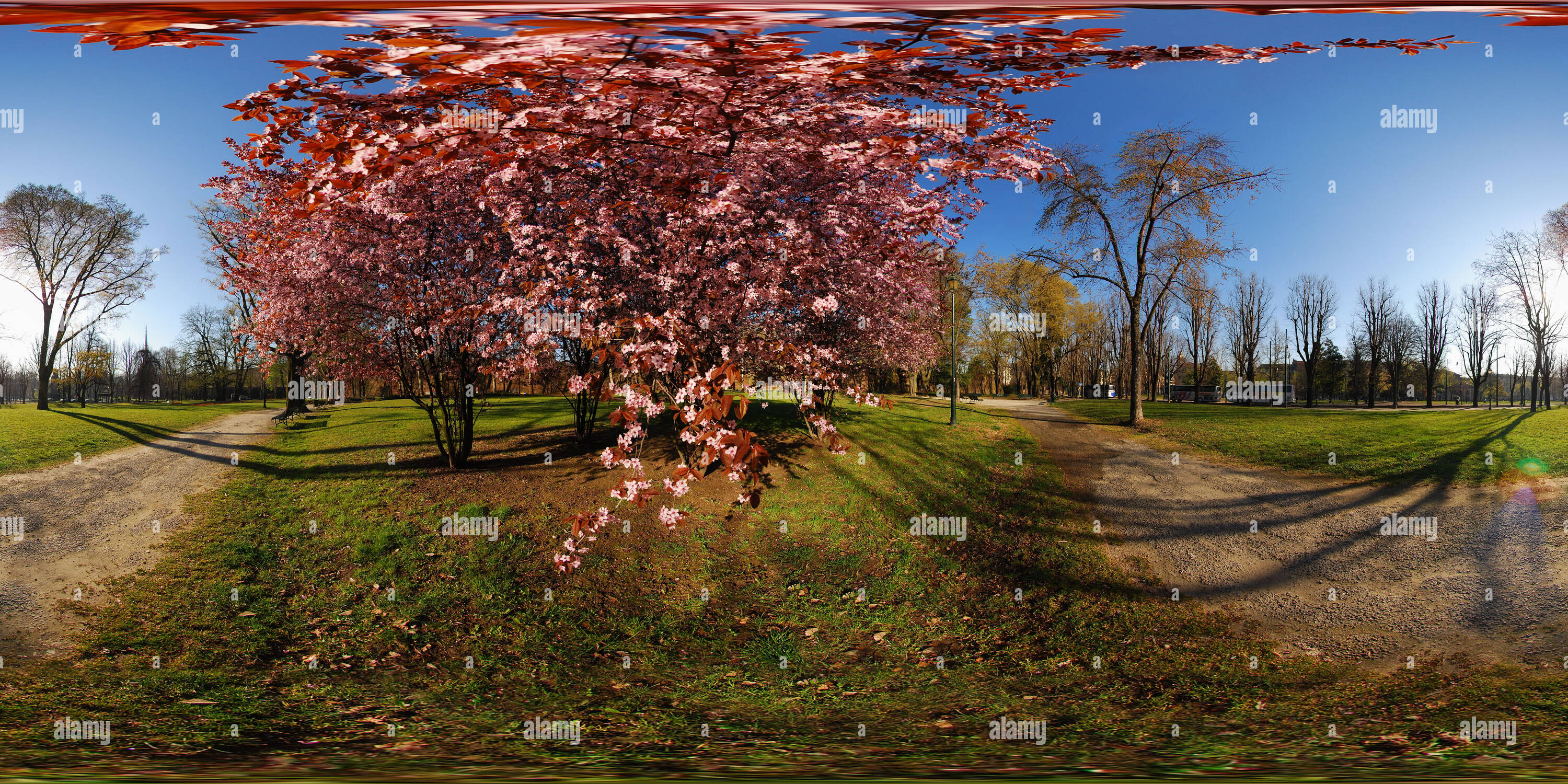 360° view of Giardini Reali, spring blooms - Alamy