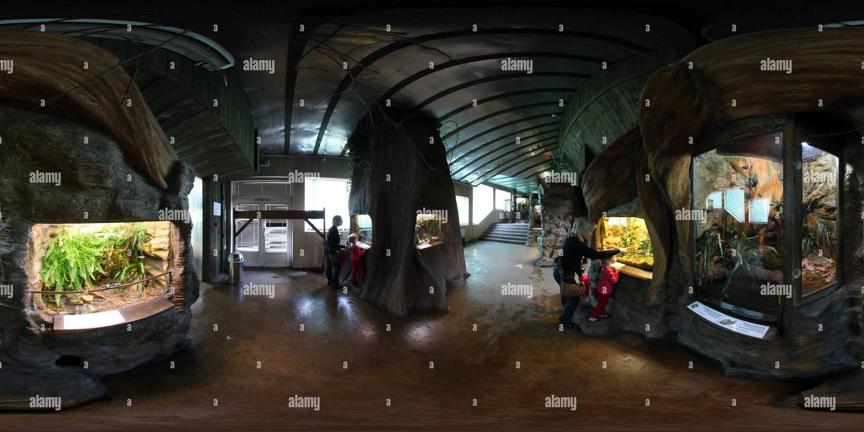360° view of Frogs Room at the Tropical House of the Riga Zoo, Latvia ...