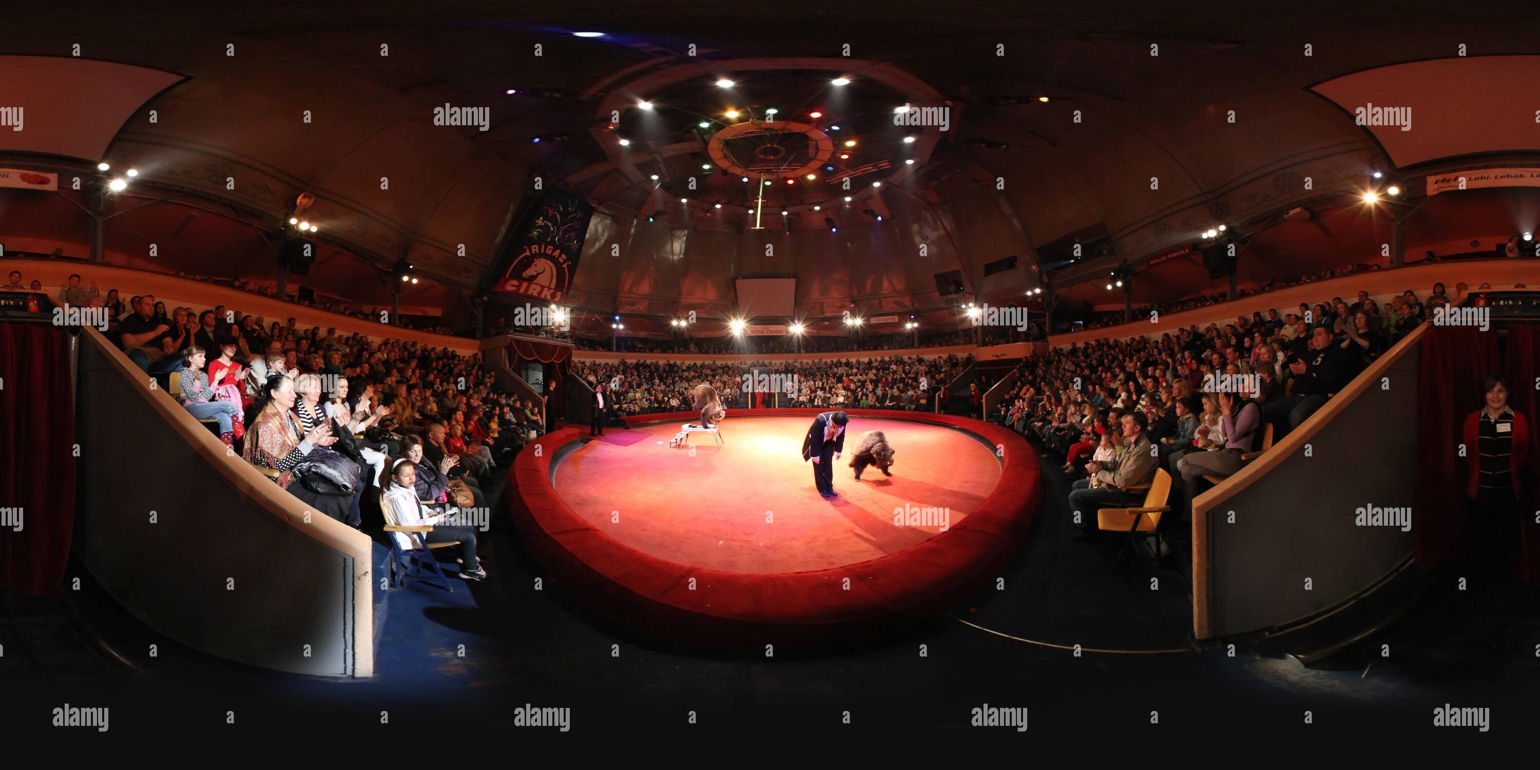 360° view of Bear and his trainer preforming at the Riga Circus, Latvia ...
