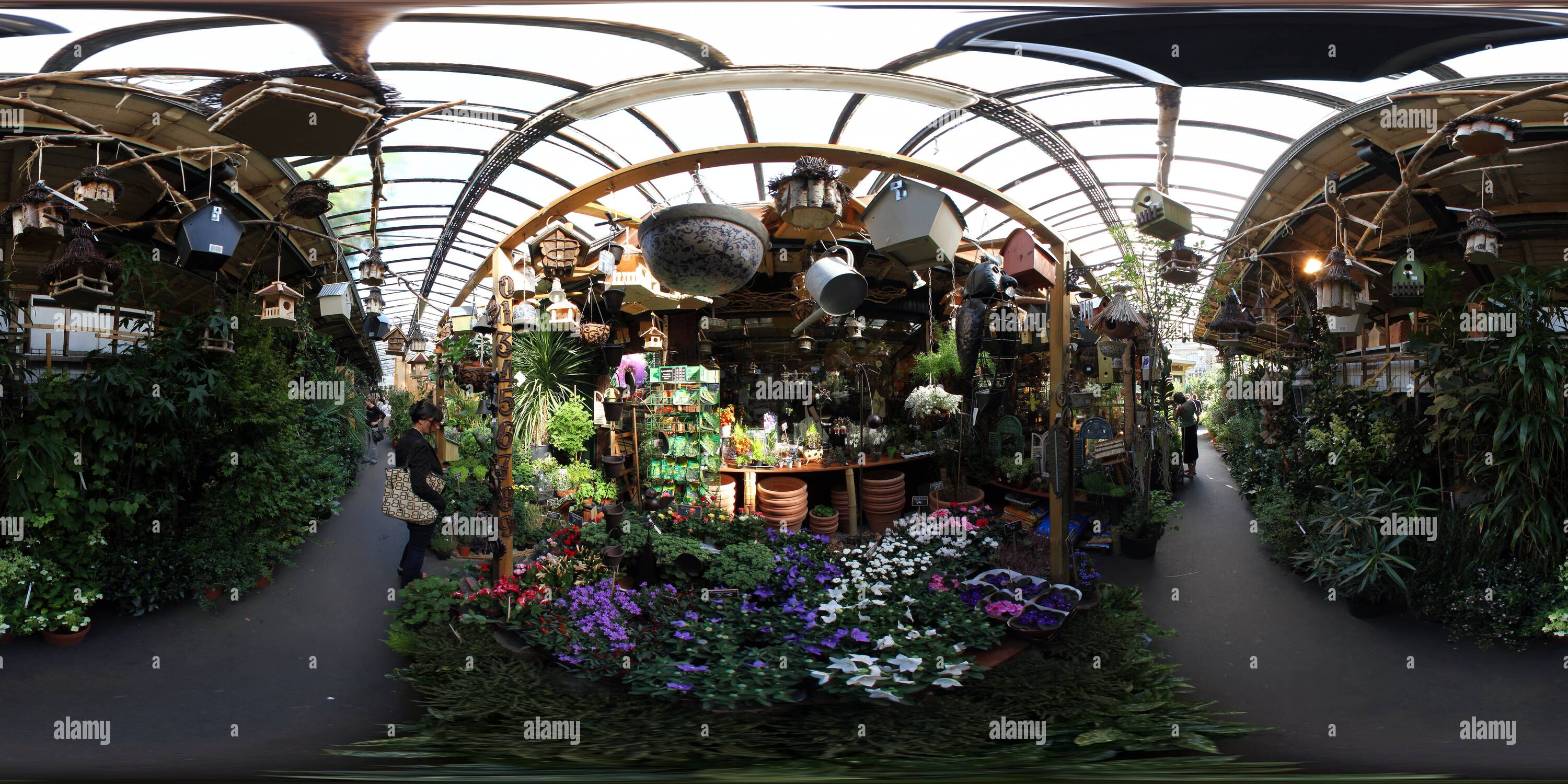 360° view of Flower market at l’Île de la Cité in Paris - Alamy