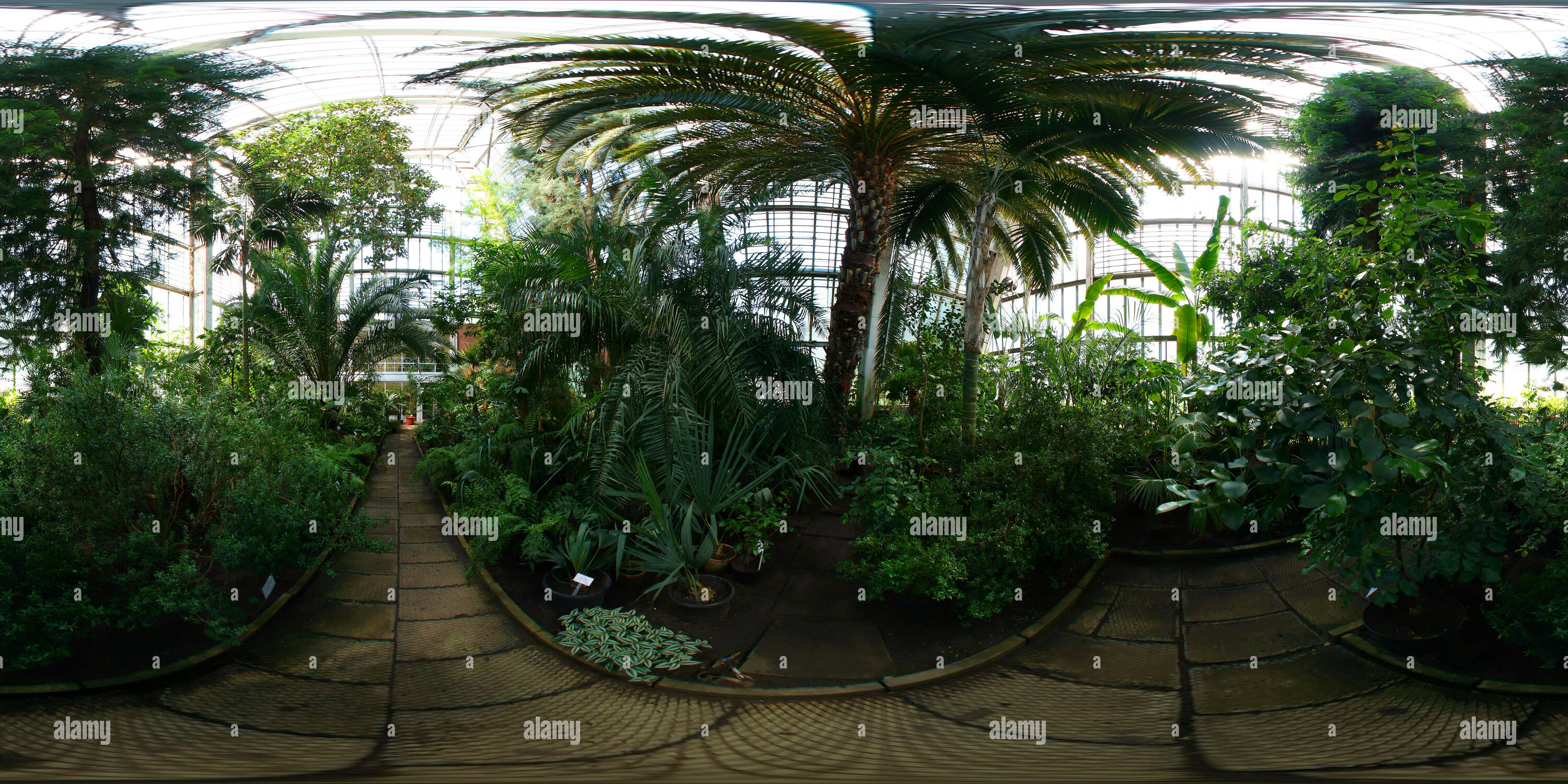 Tropu klimats hi-res stock photography and images - Alamy