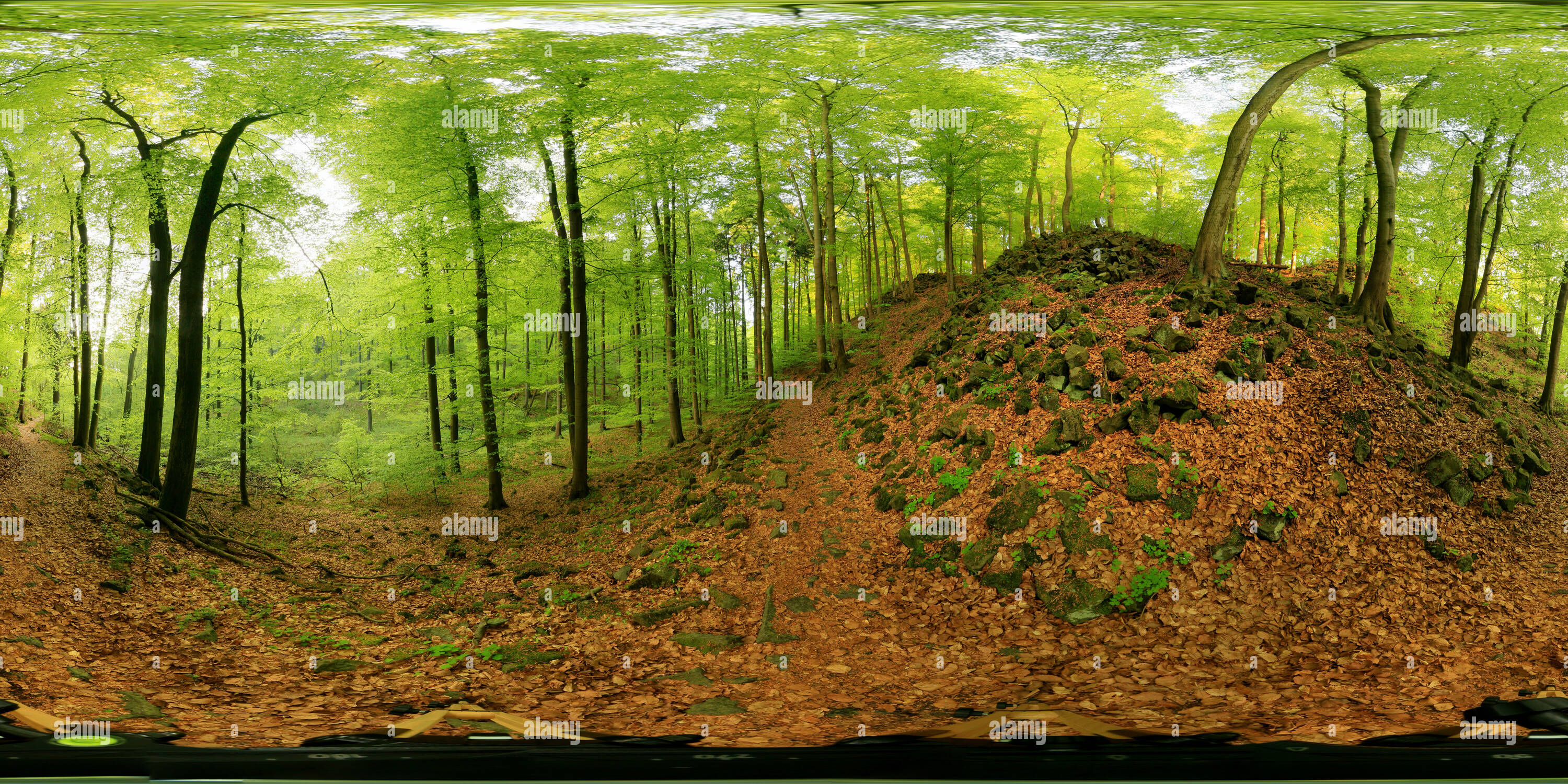 Habichtswald hi-res stock photography and images - Alamy