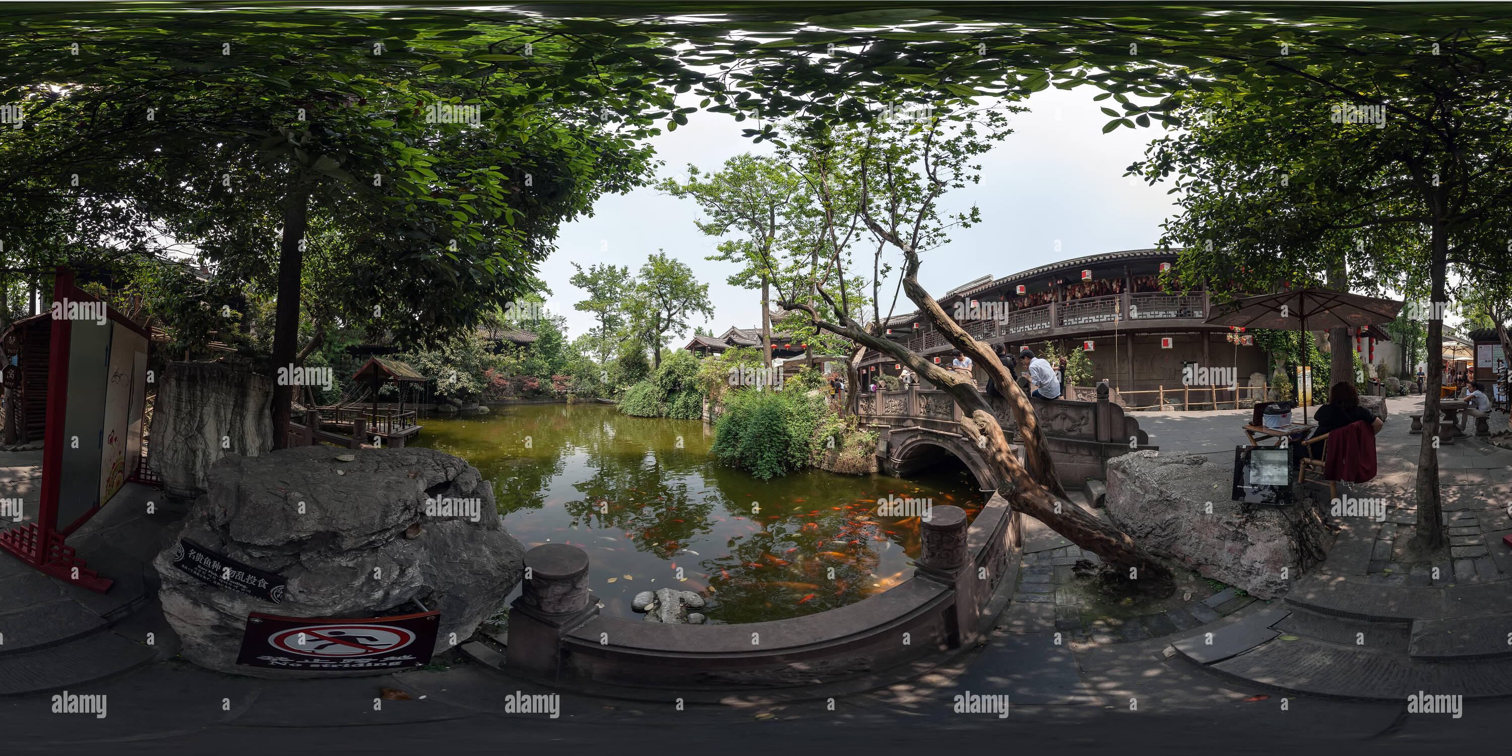 360° view of In Chengdu brocade - bridge view fish - Alamy