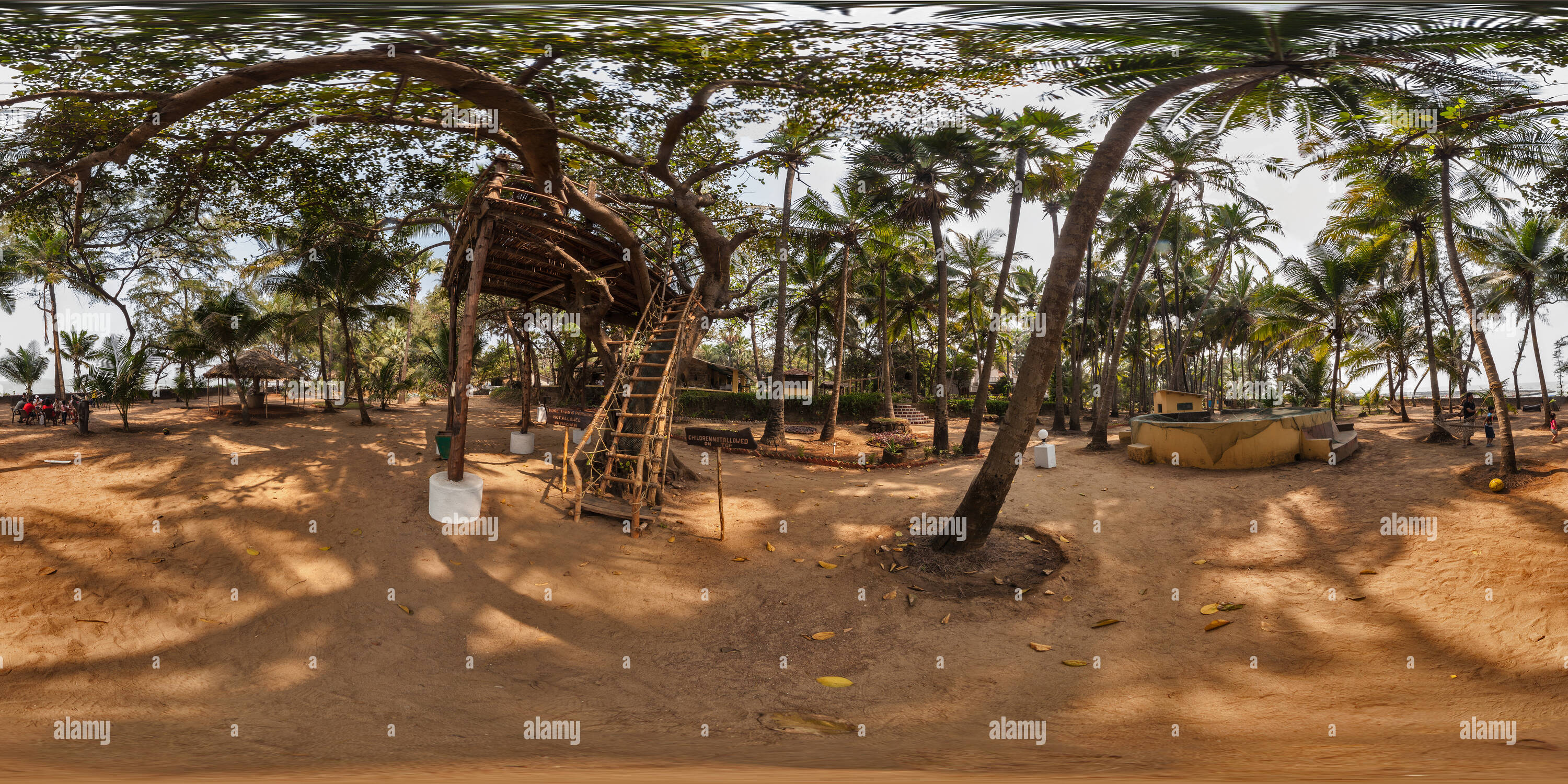 Machan hi-res stock photography and images - Alamy