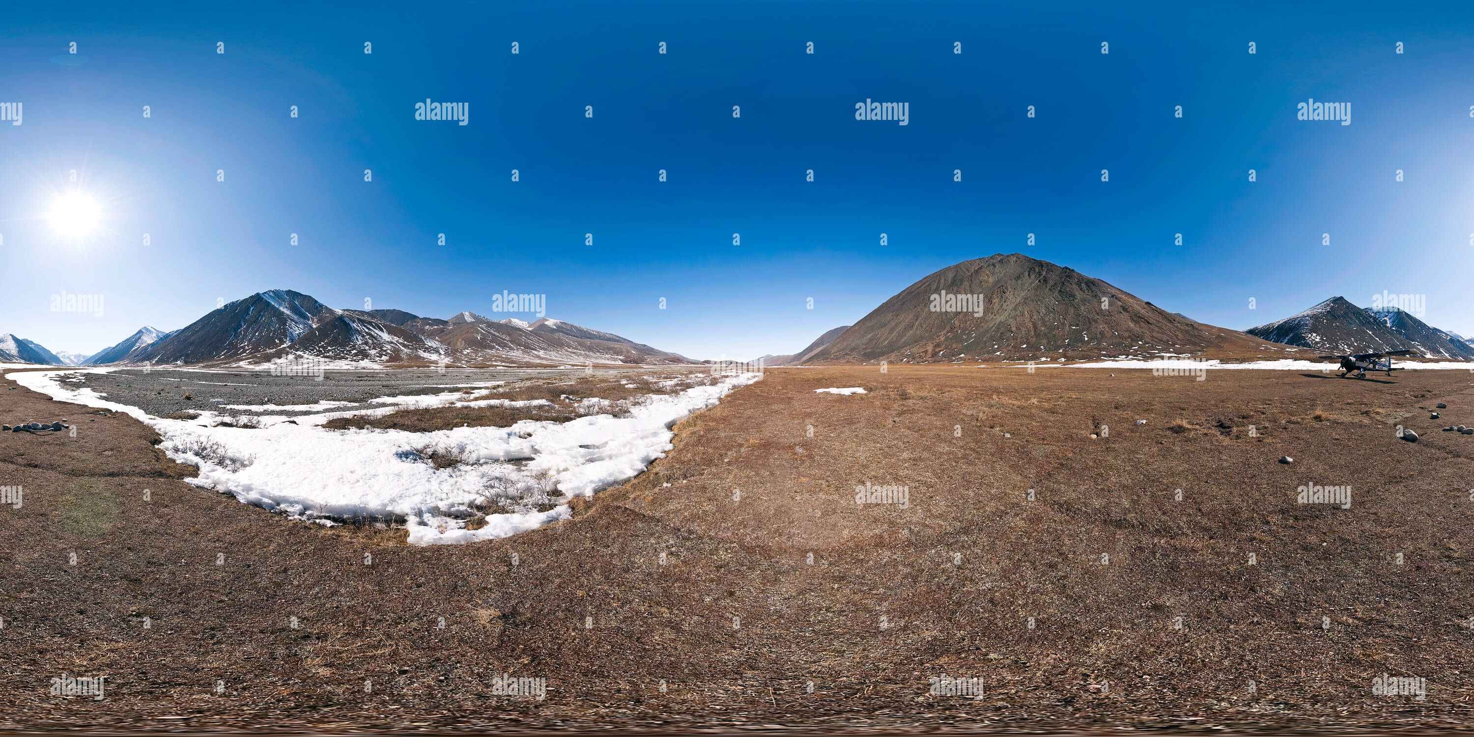 360° view of beaver on mid-Jago strip - Alamy