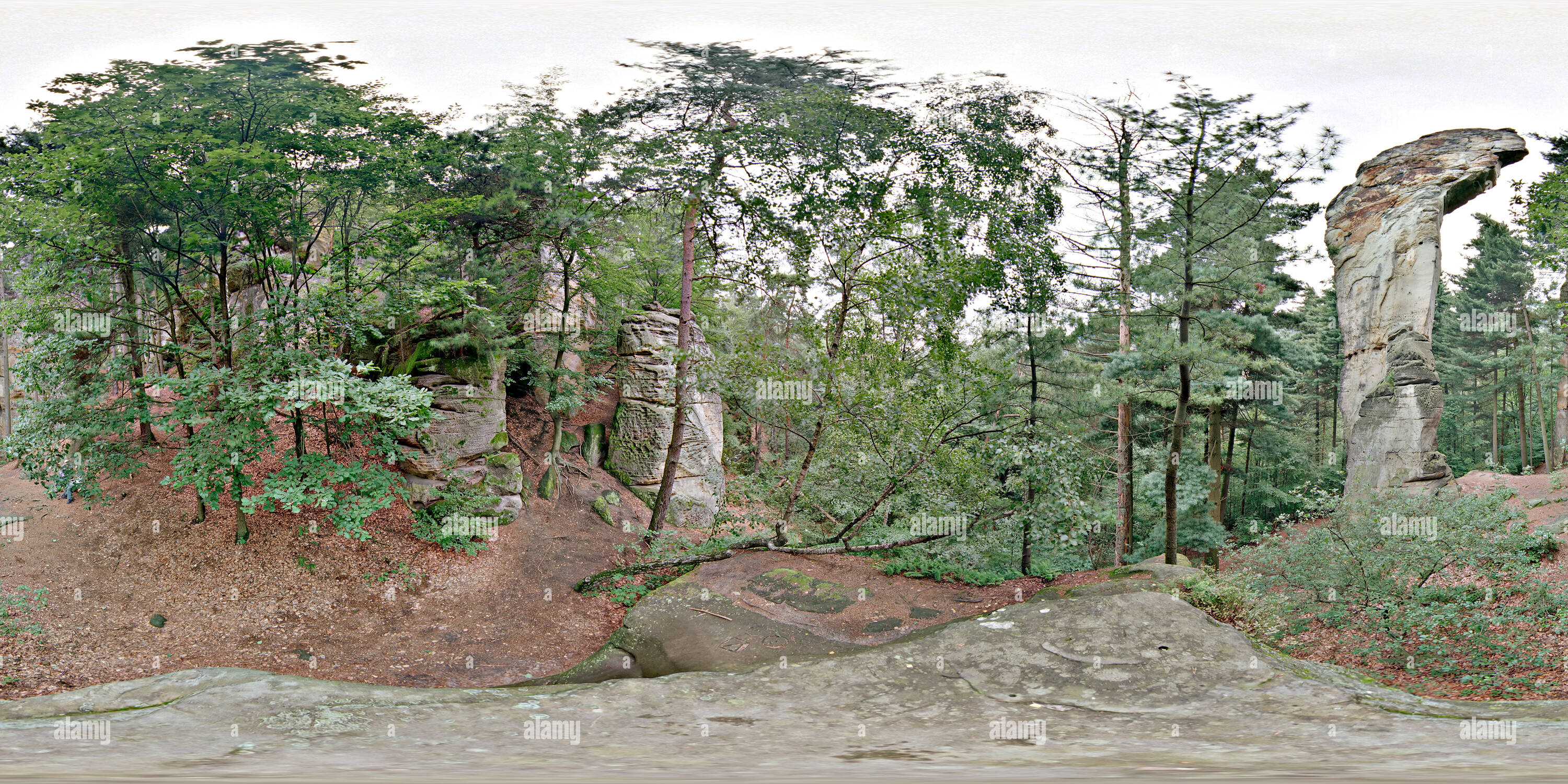 360° view of Kobyla in the rock town Příhrazy - Alamy