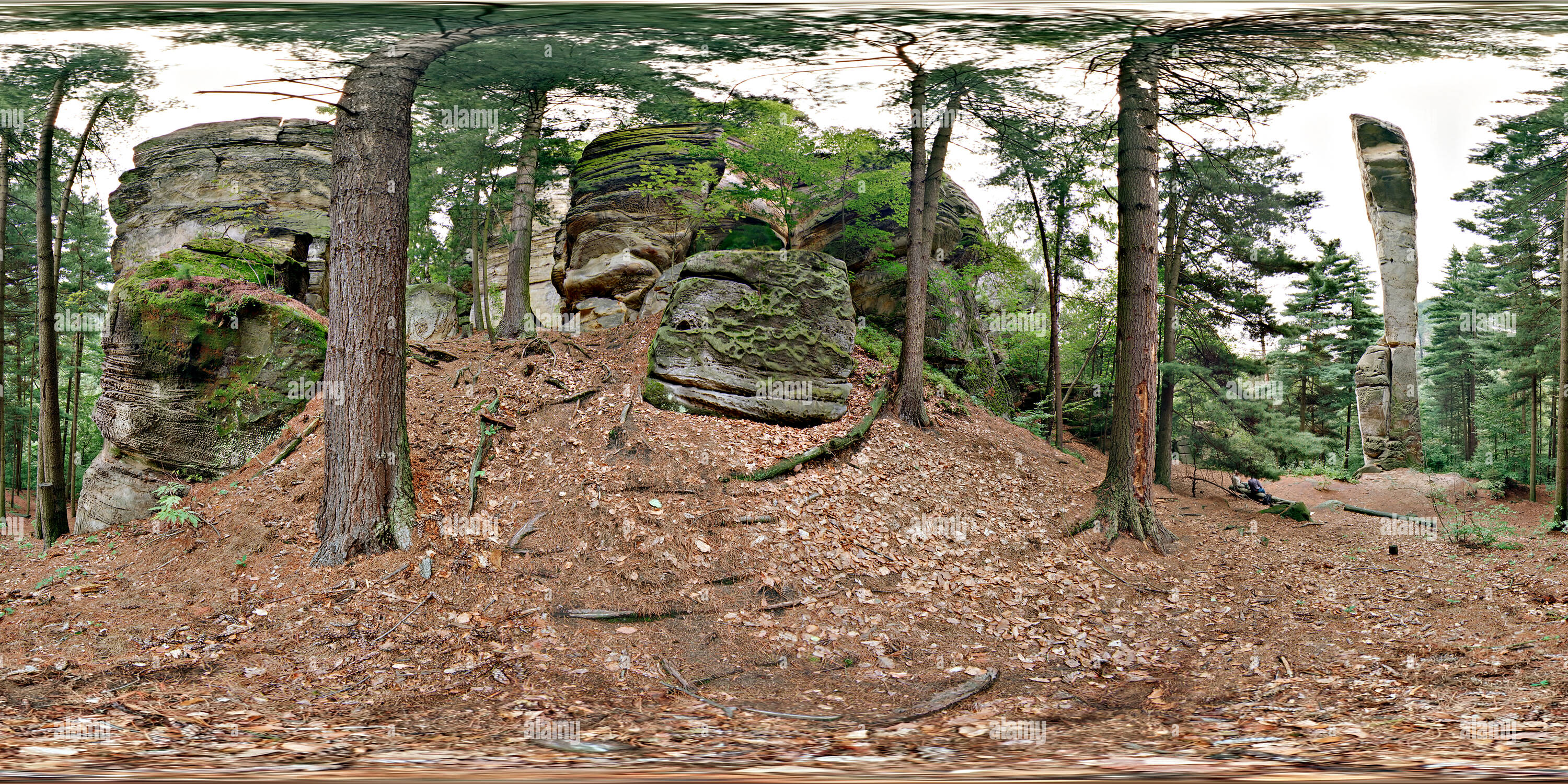 360° view of Kobyla in the rock town Příhrazy - Alamy