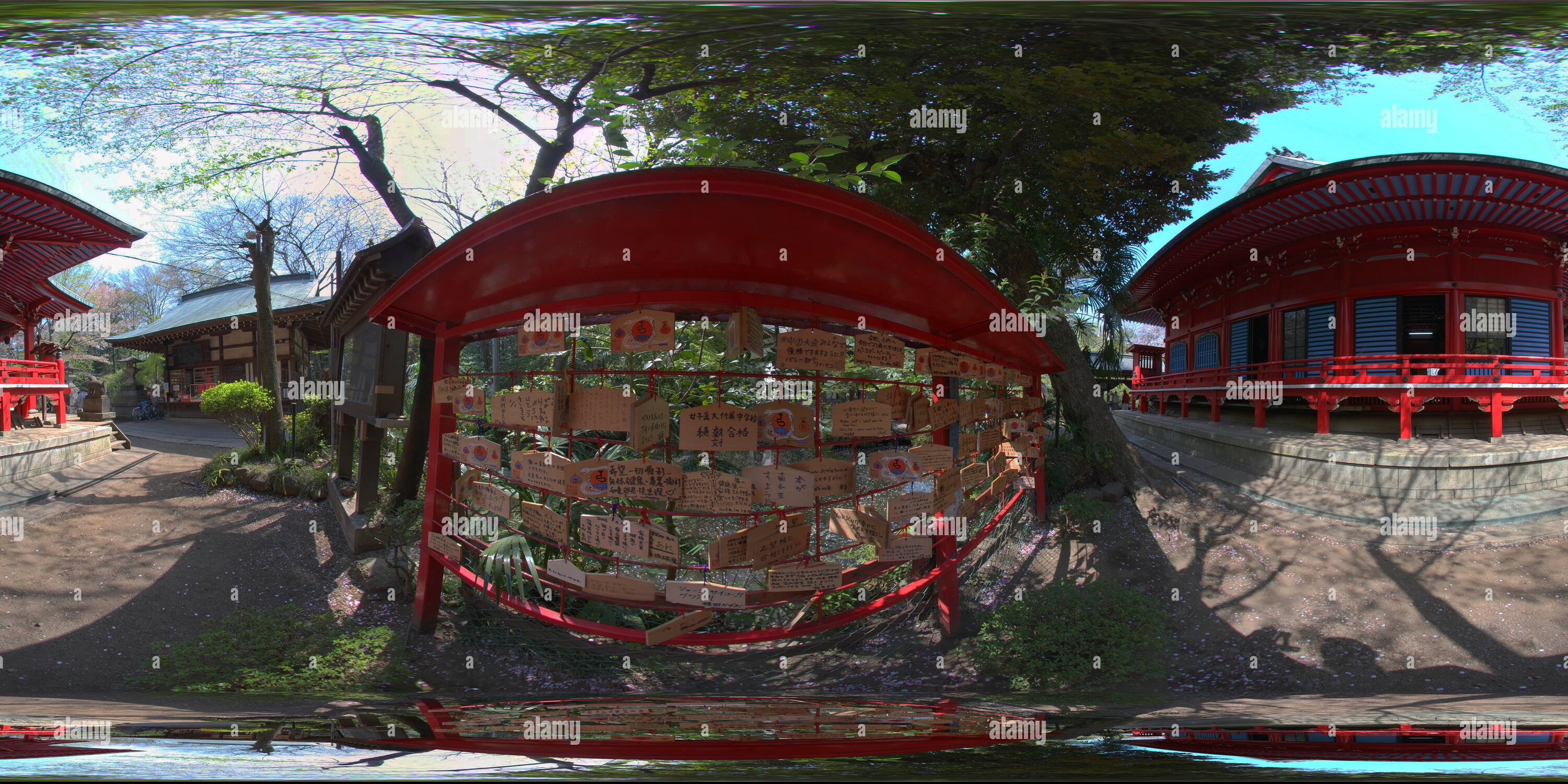 Inokashira koen parc tokyo japan hi-res stock photography and images ...