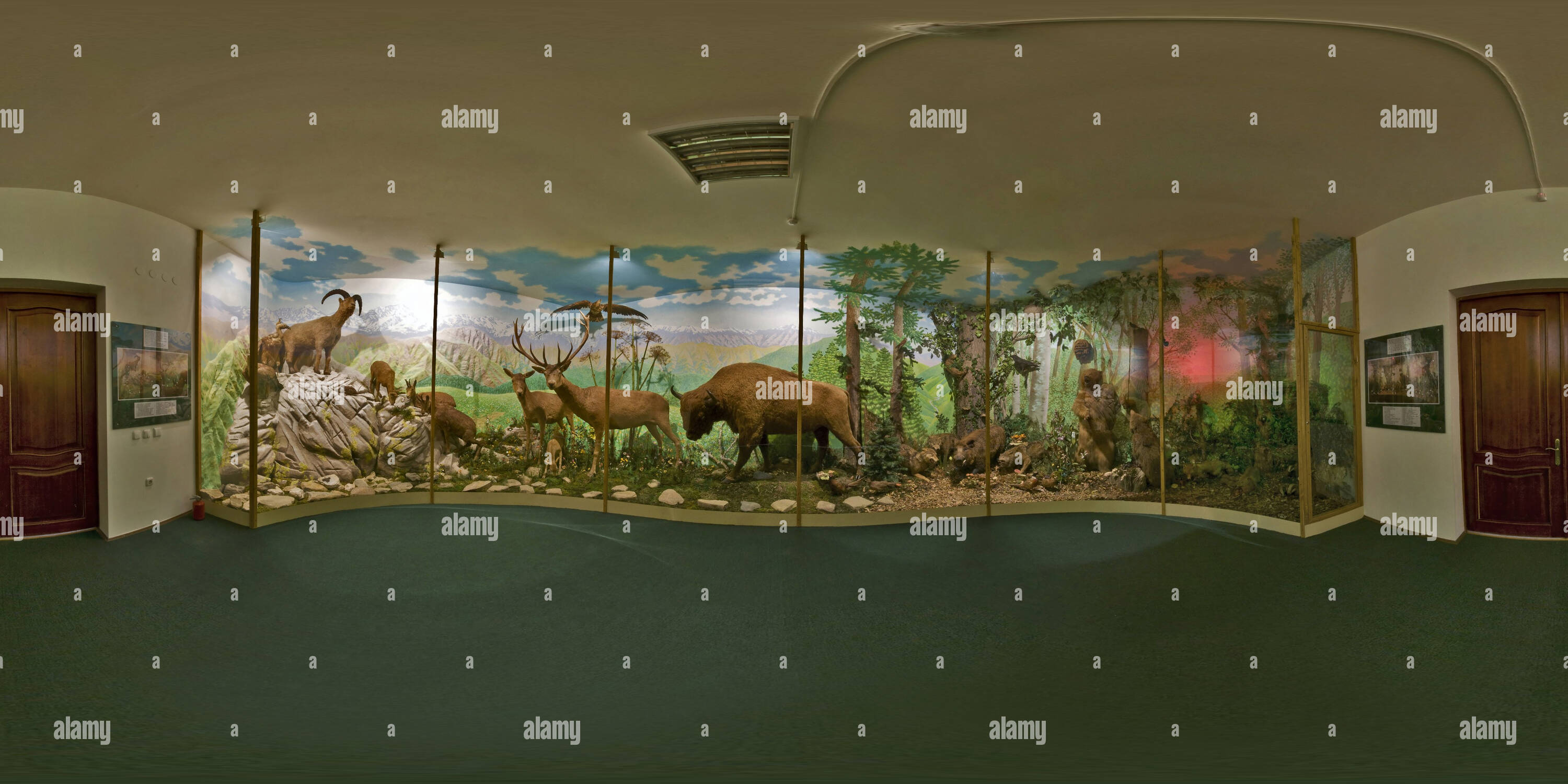 360° view of Animal Caucasus Mountains - Alamy