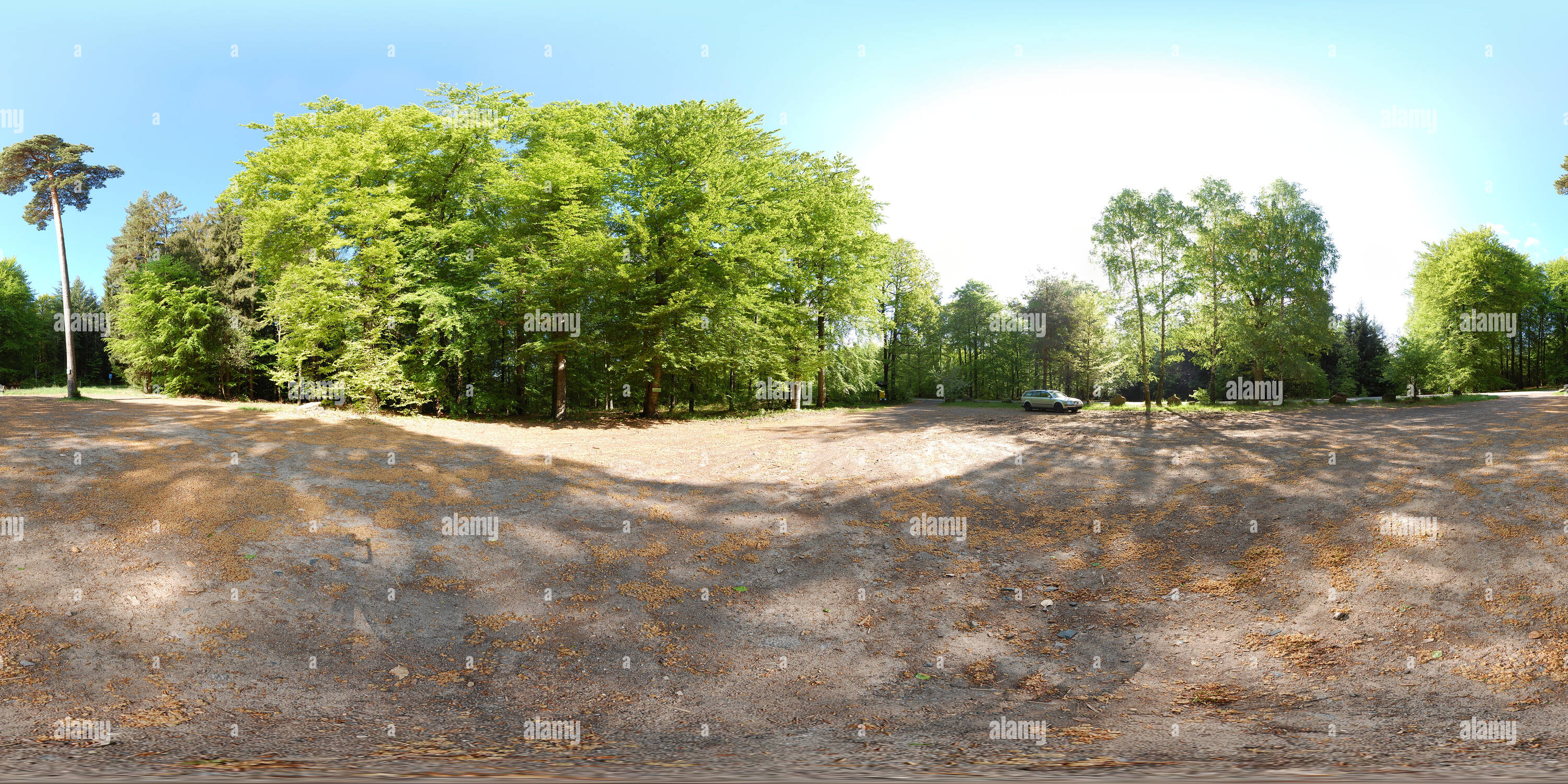 360° view of Palatinate Forest parking area - Alamy