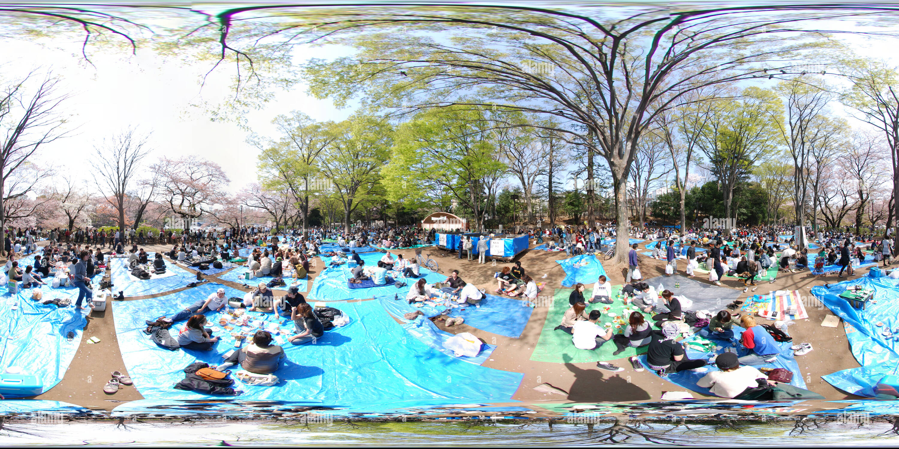 Inokashira koen parc tokyo japan hi-res stock photography and images ...