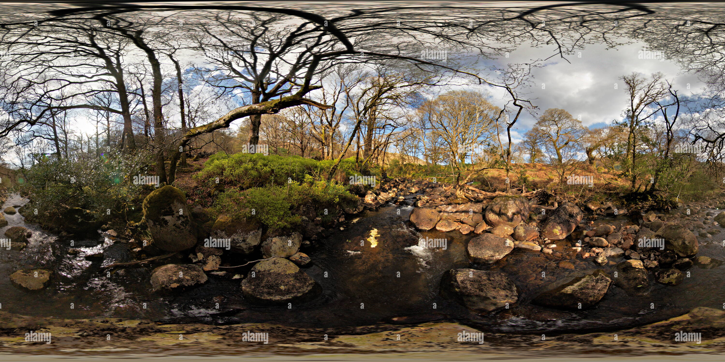 Loch trool hi-res stock photography and images - Alamy