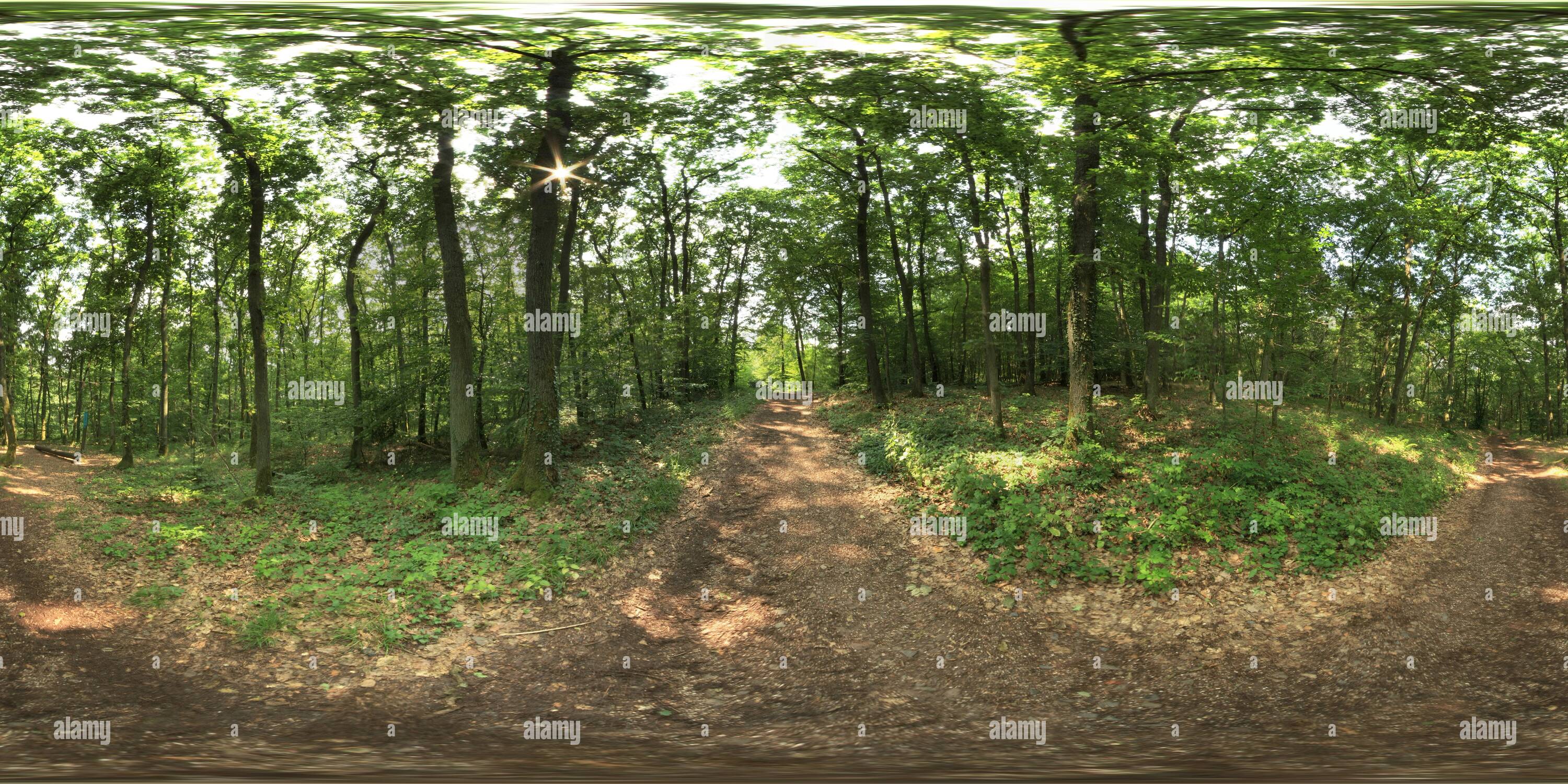 360° view of Trimm-Dich Pfad in Wittlich 2 - Alamy