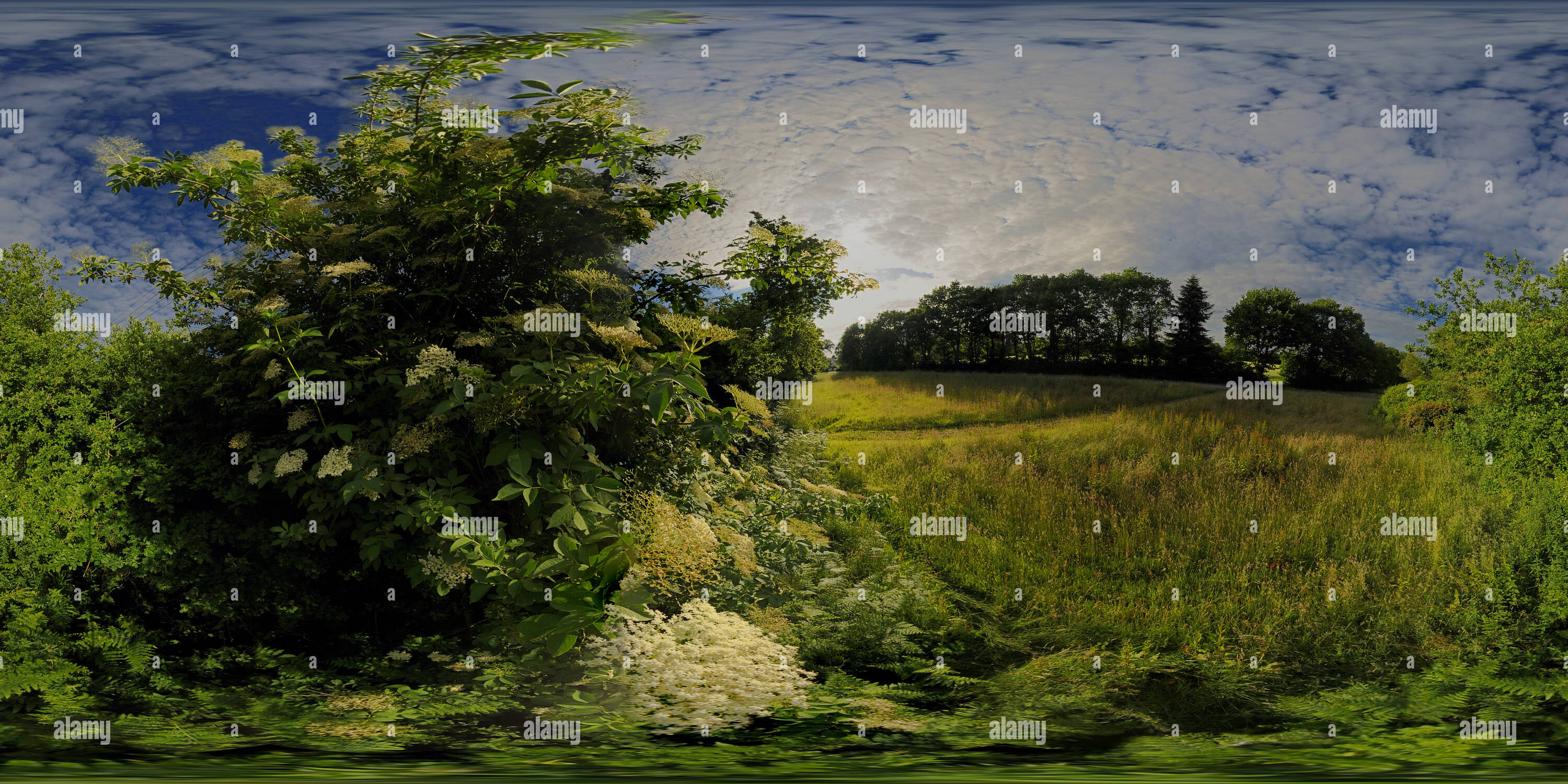 Domaine medicale hi-res stock photography and images - Alamy