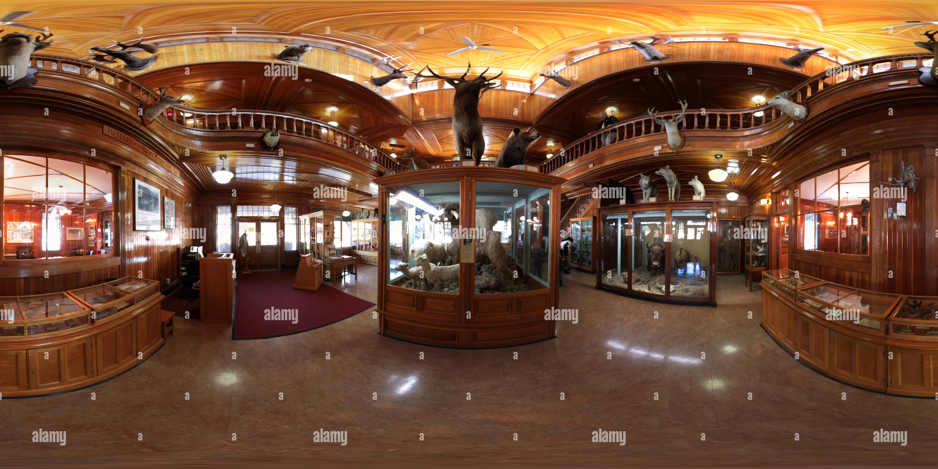 360° view of Banff Park National Museum, Canada - Alamy