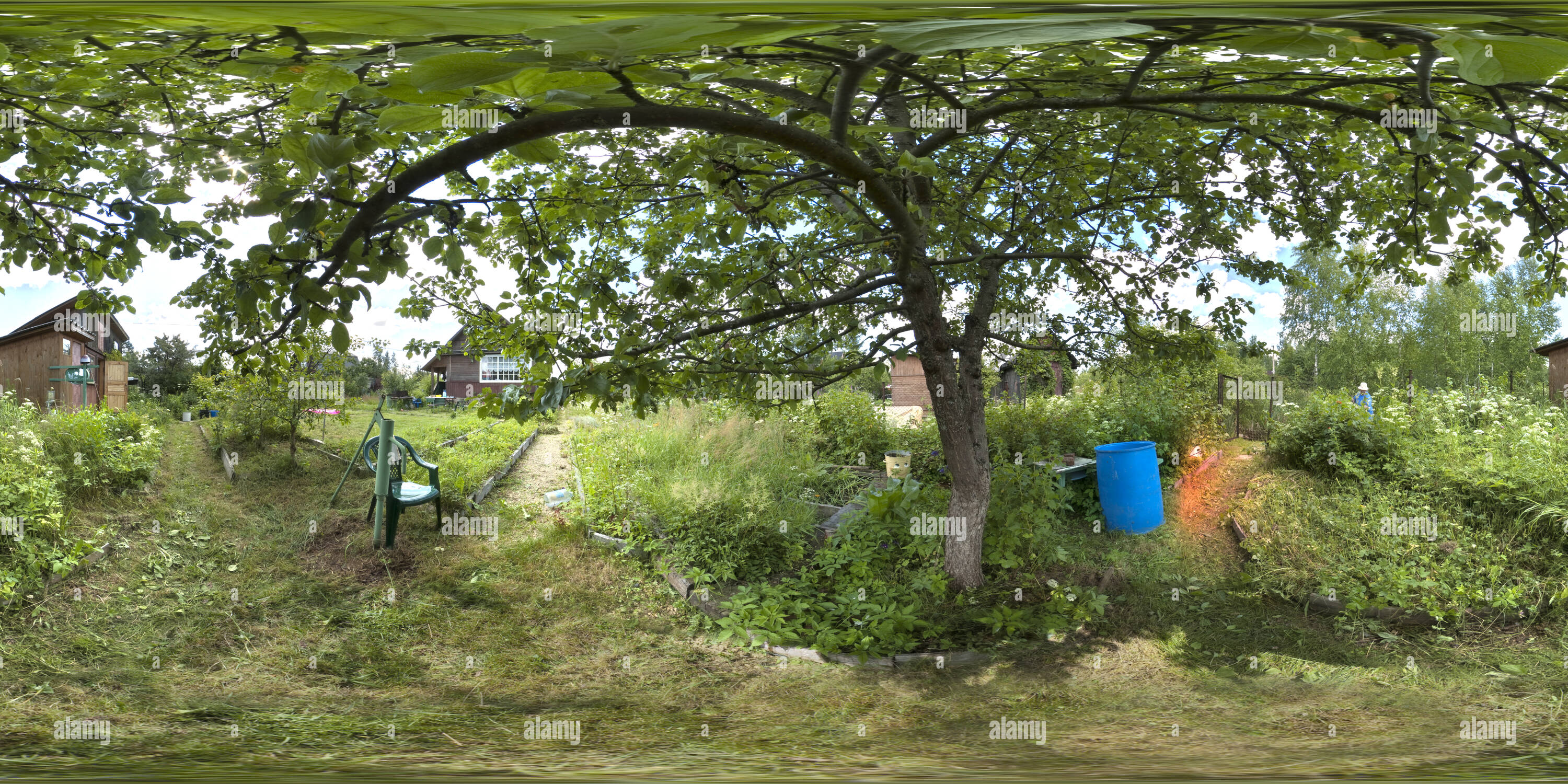360° view of A typical plot in horticulture - Alamy