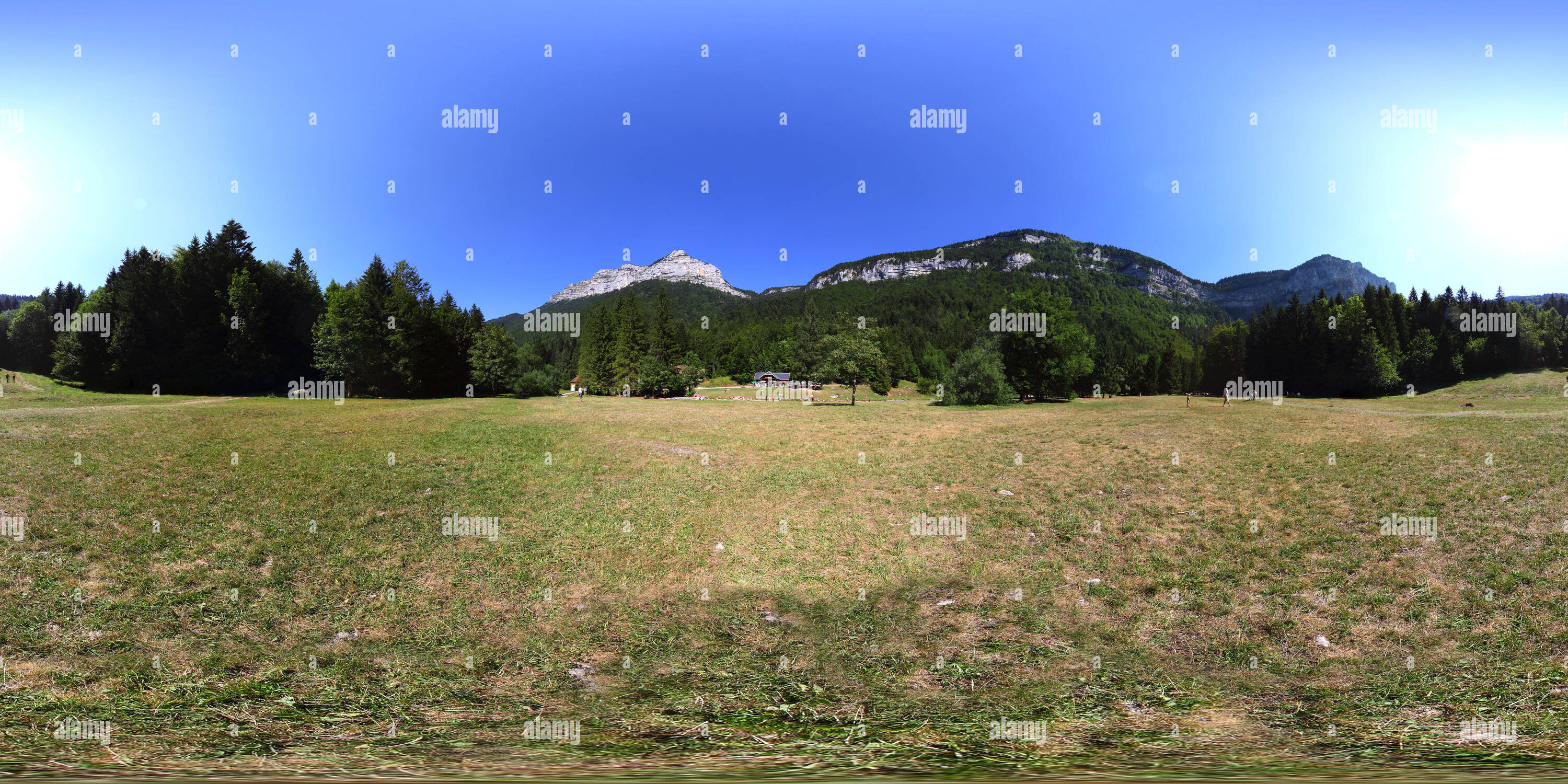 Saint meme hi-res stock photography and images - Alamy