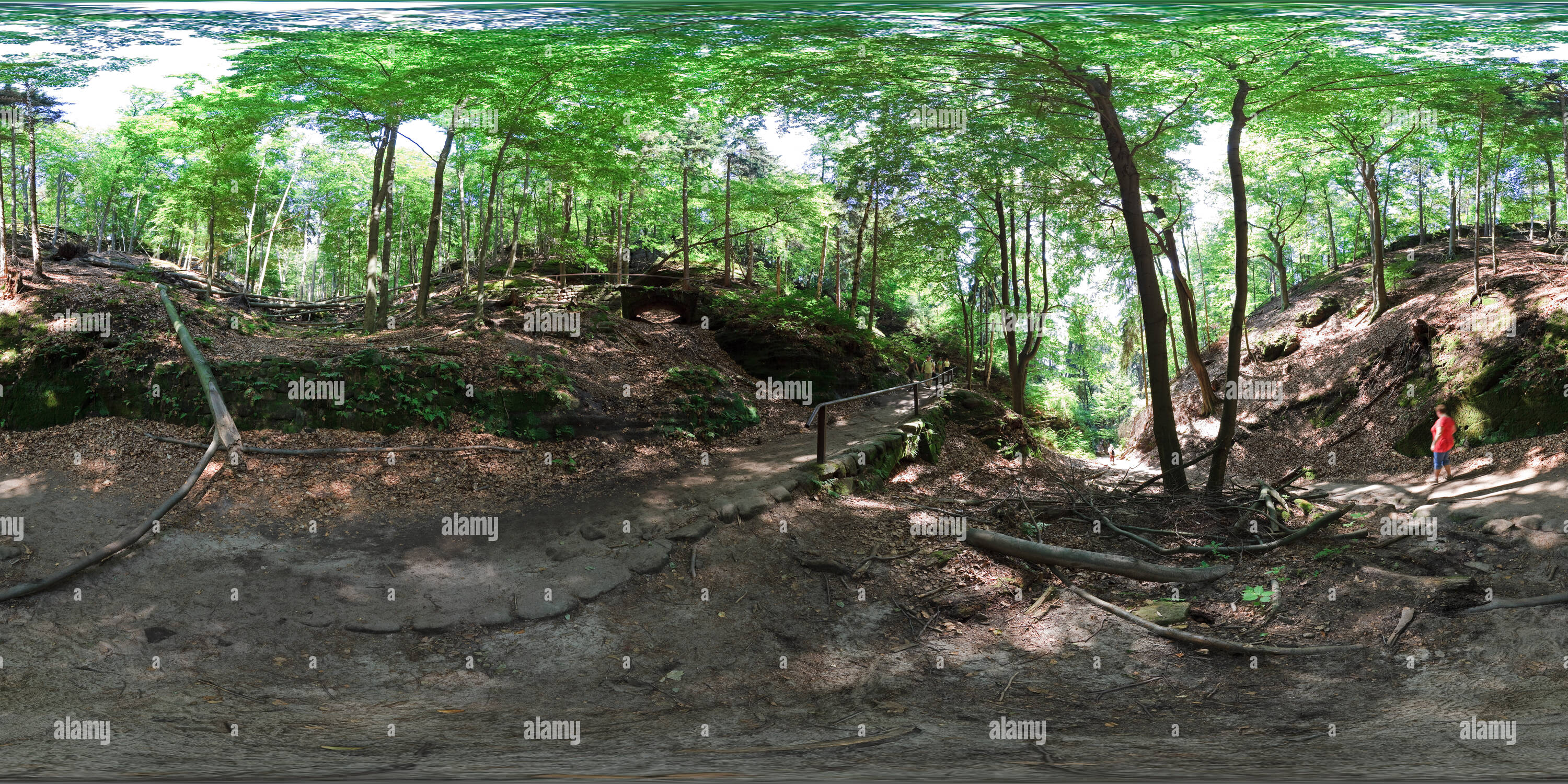 360° view of Výstup lesem na Pravčickou bránu - Alamy
