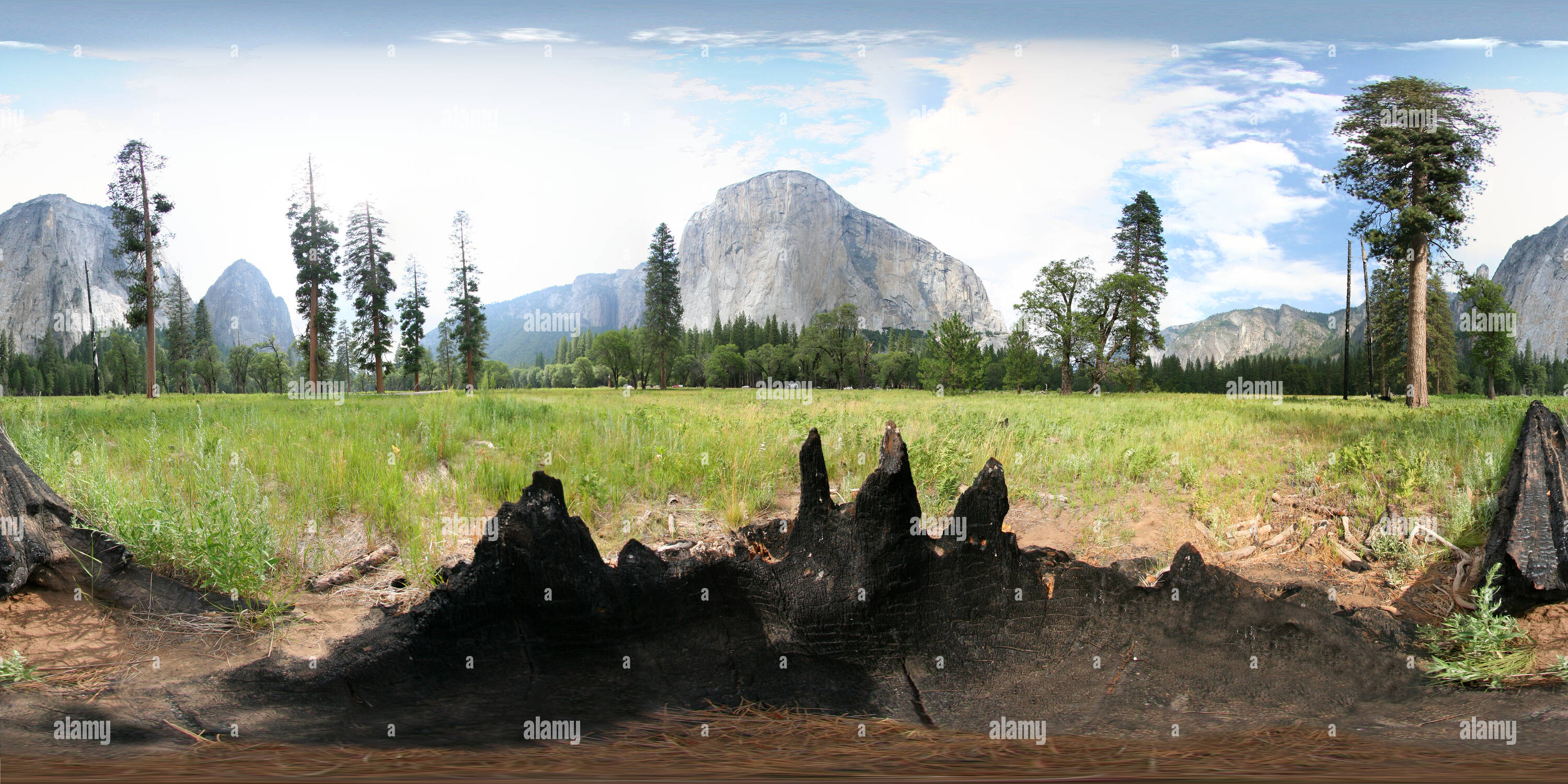 360° view of Yosemity National Park - EL Capitan 2 - Alamy