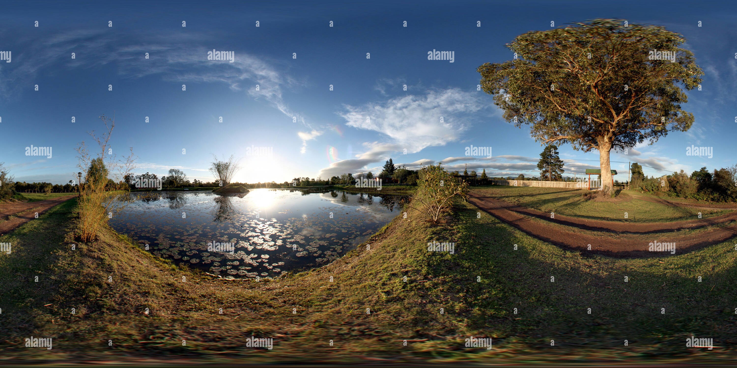 360° view of Fern Gully Lake - Alamy
