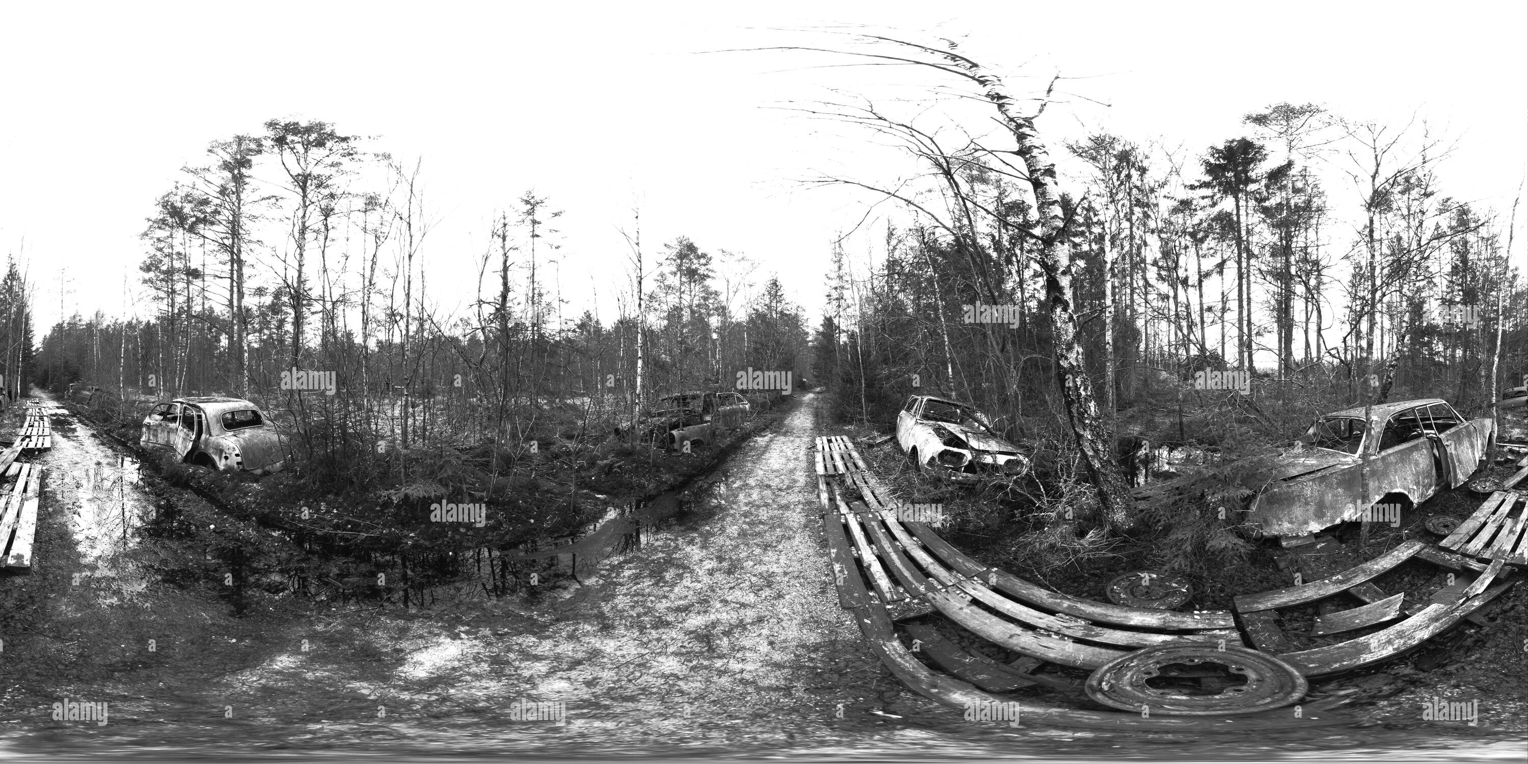 360° view of death cars in forest - Alamy