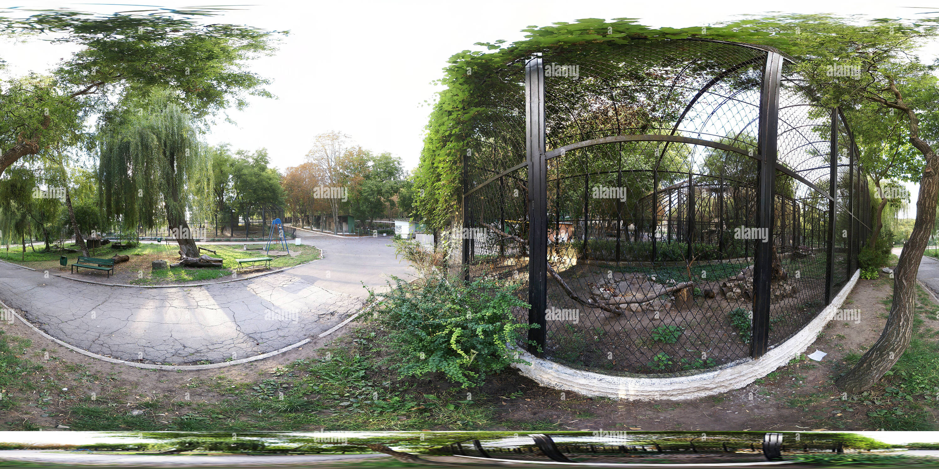 Illiger hi-res stock photography and images - Alamy