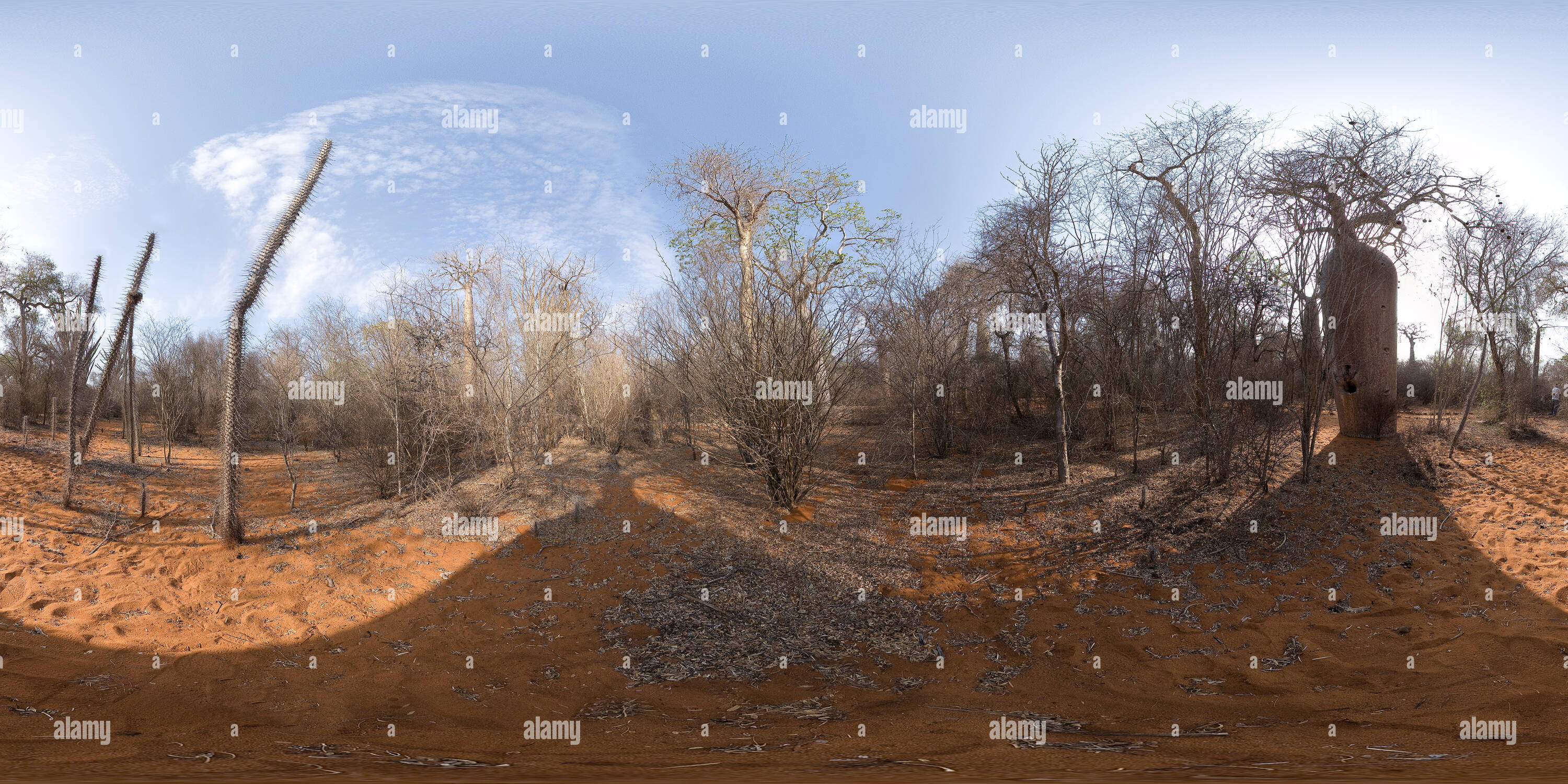 360° view of 081106 Ifaty RENIALA Mangily Mada 001 - Alamy
