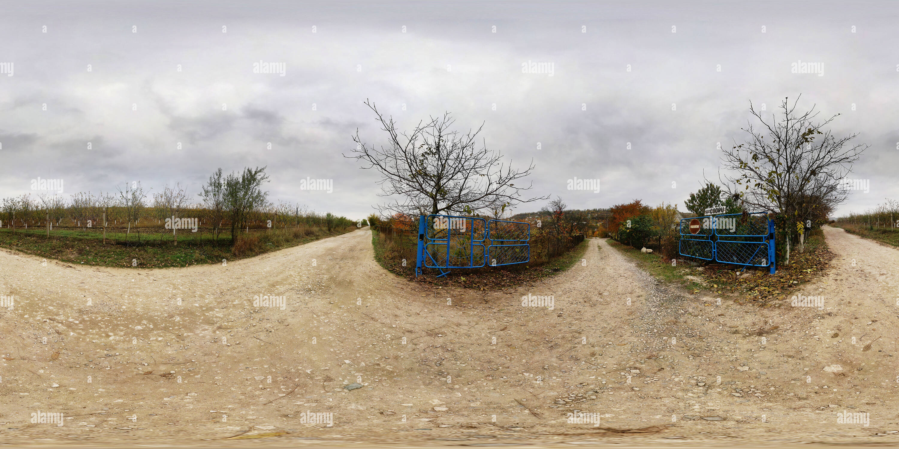 Codru hi-res stock photography and images - Alamy