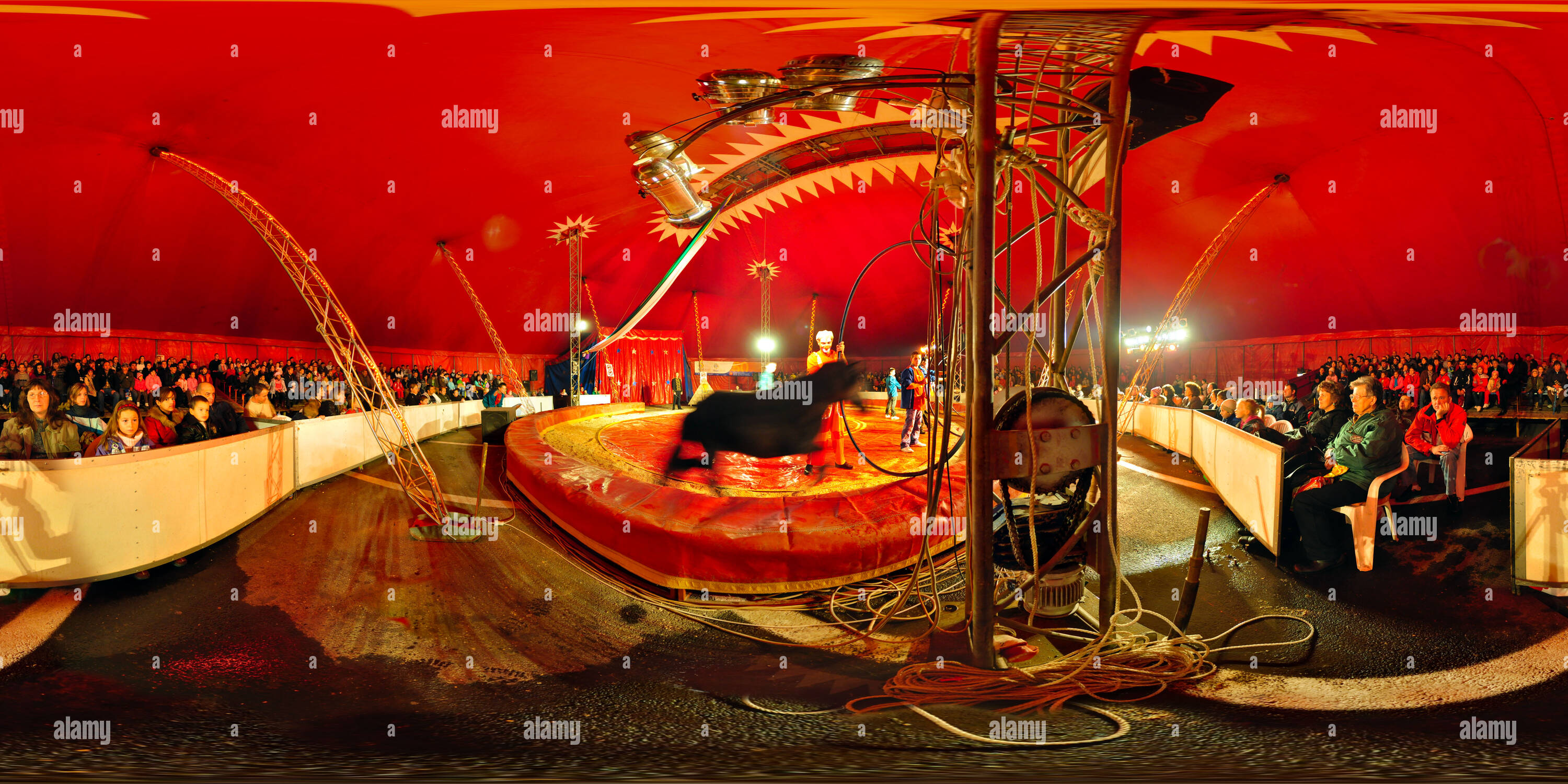360° view of Poney performing at Circus Safari in Targu Mures - Alamy