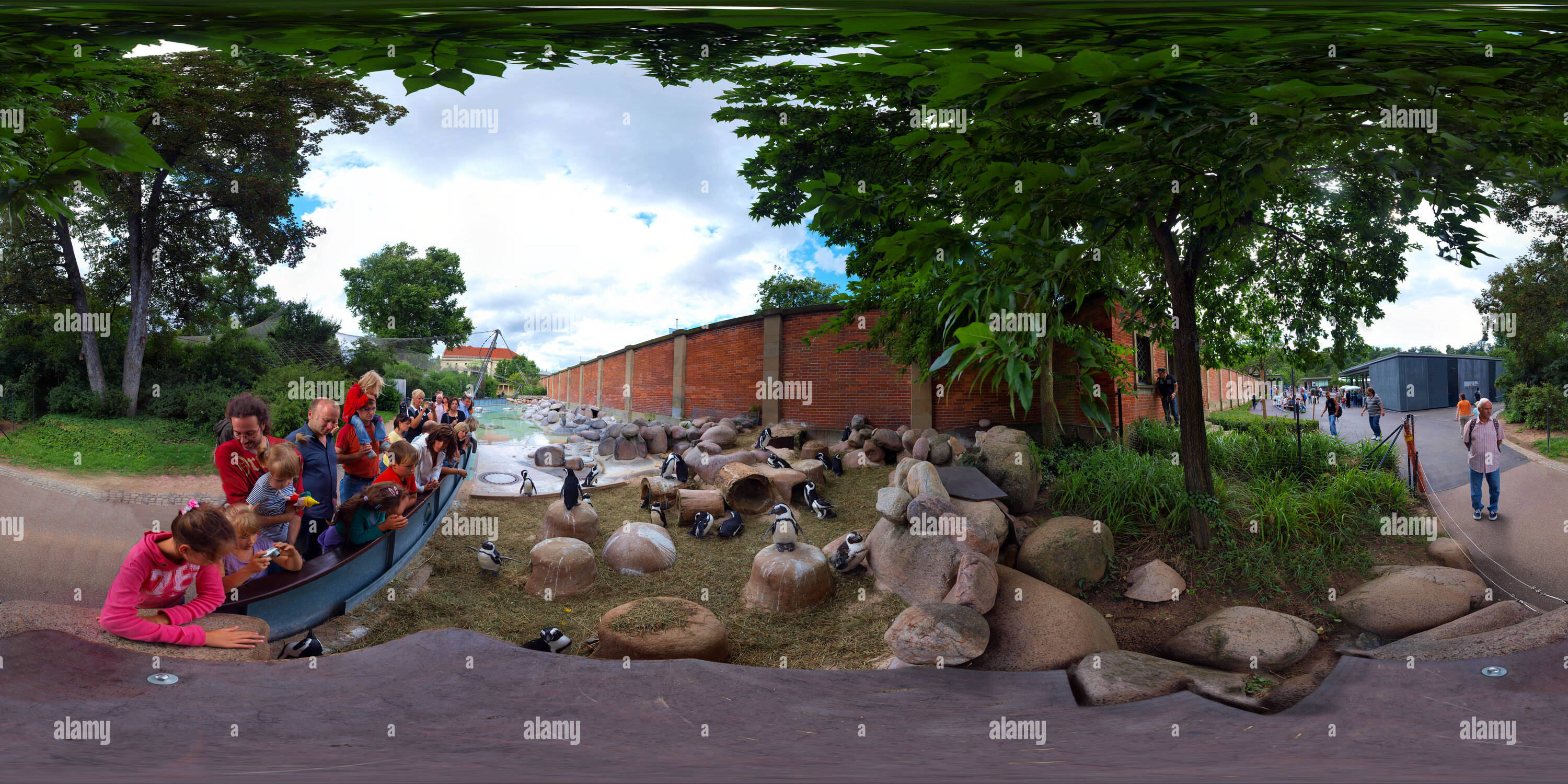 360° view of Penguins at the Wilhelma Zoo in Stuttgart - Alamy