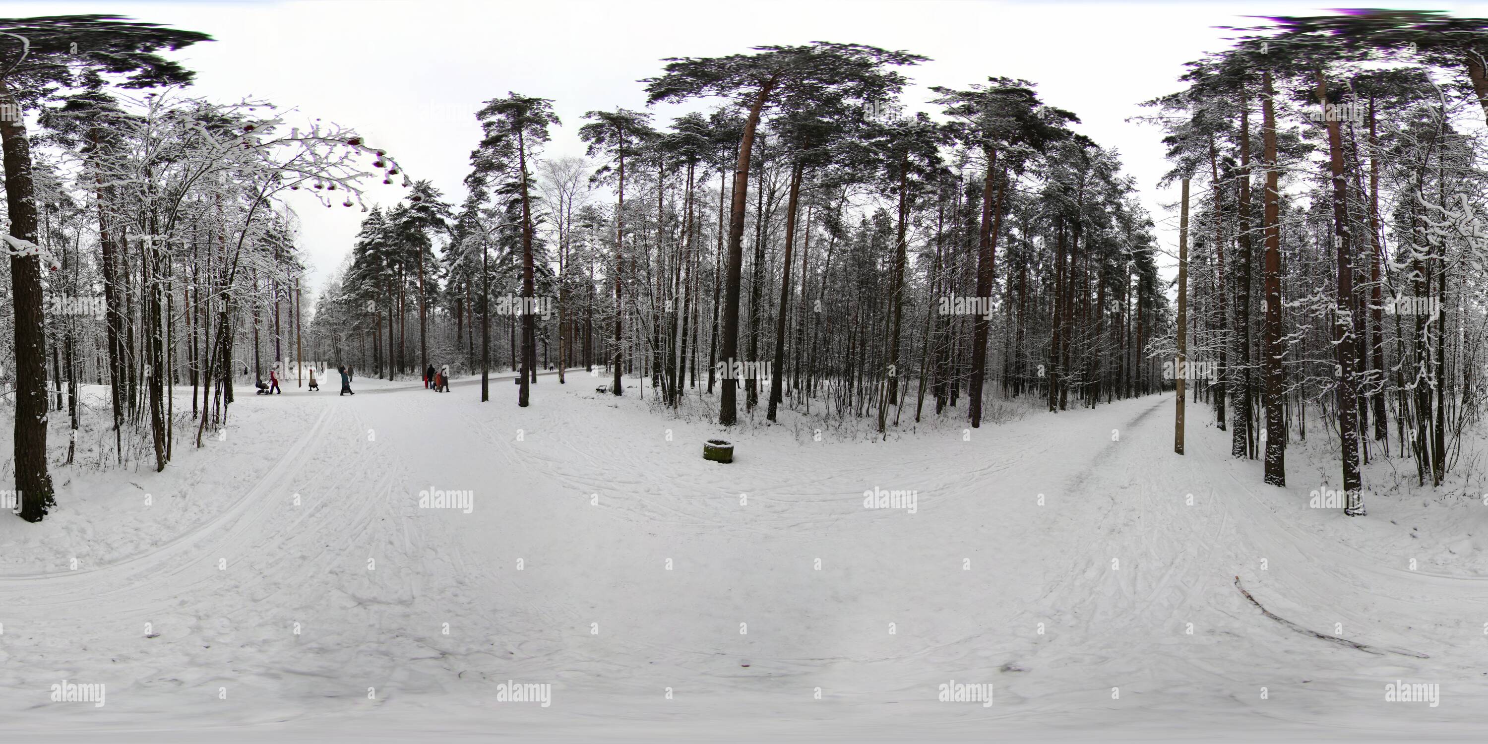 Sosnovka hi-res stock photography and images - Alamy