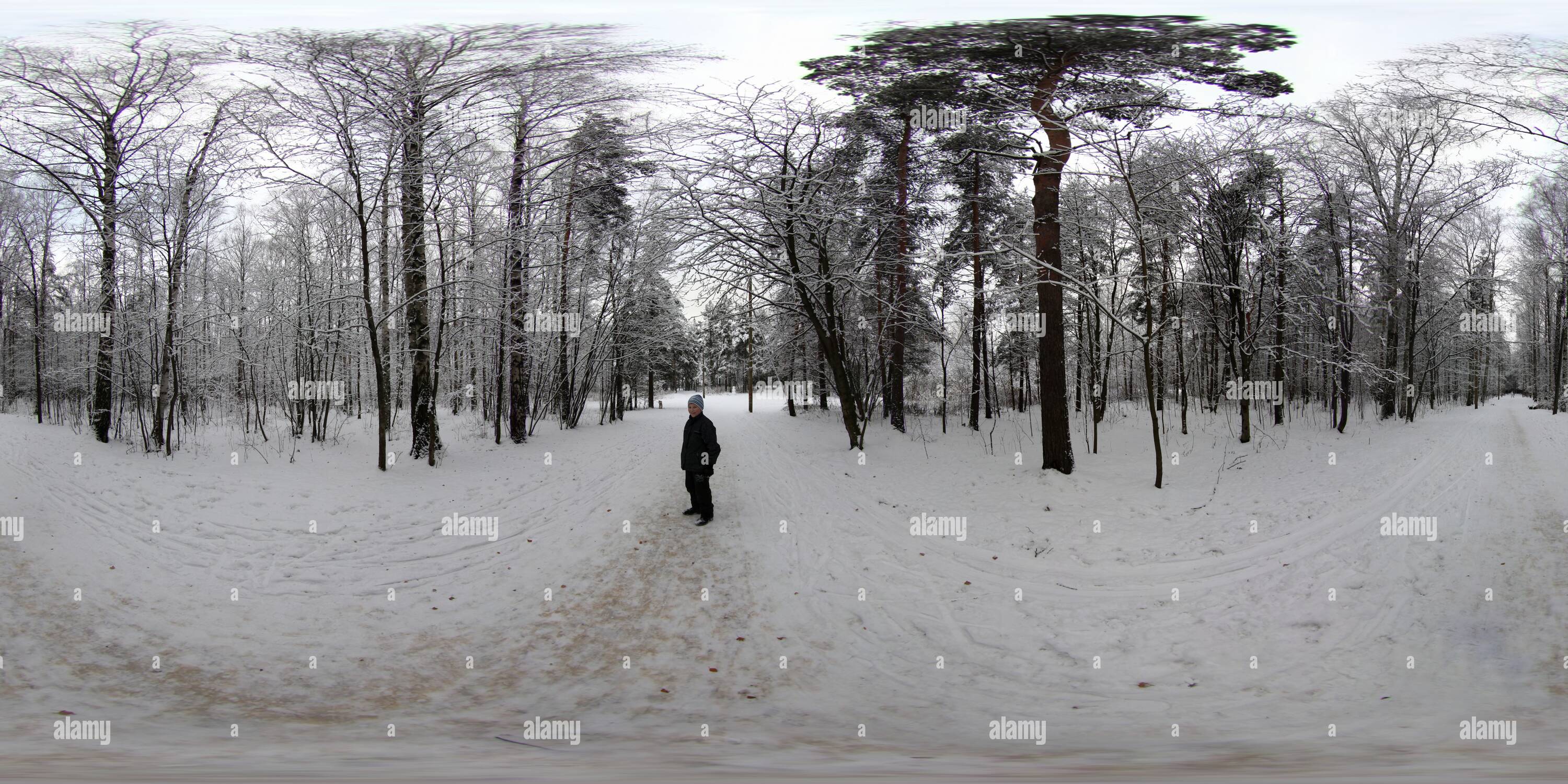 Sosnovka hi-res stock photography and images - Alamy